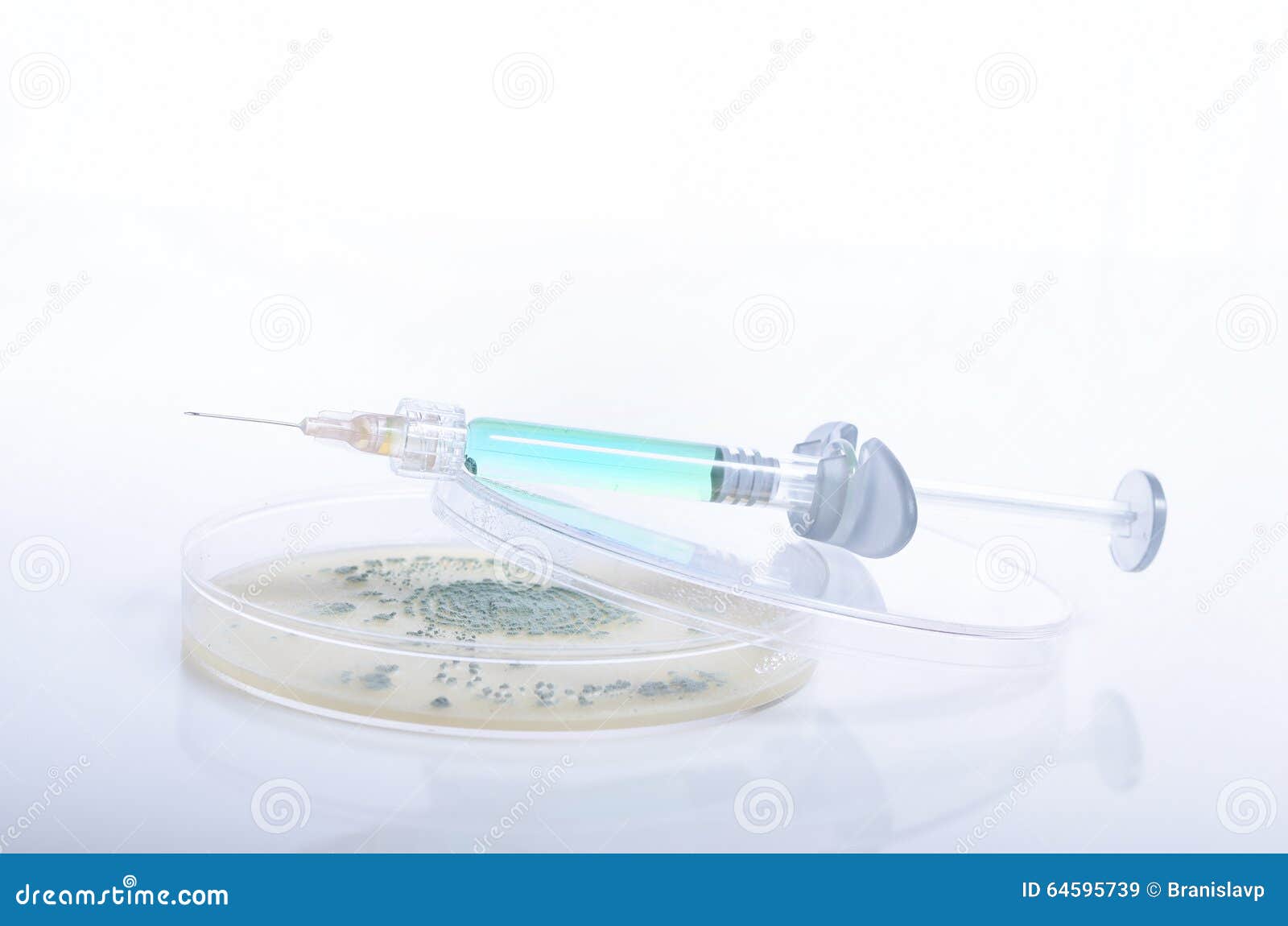 Microbiology Petri Dish with Bacteria and Growth Stock Image - Image of ...