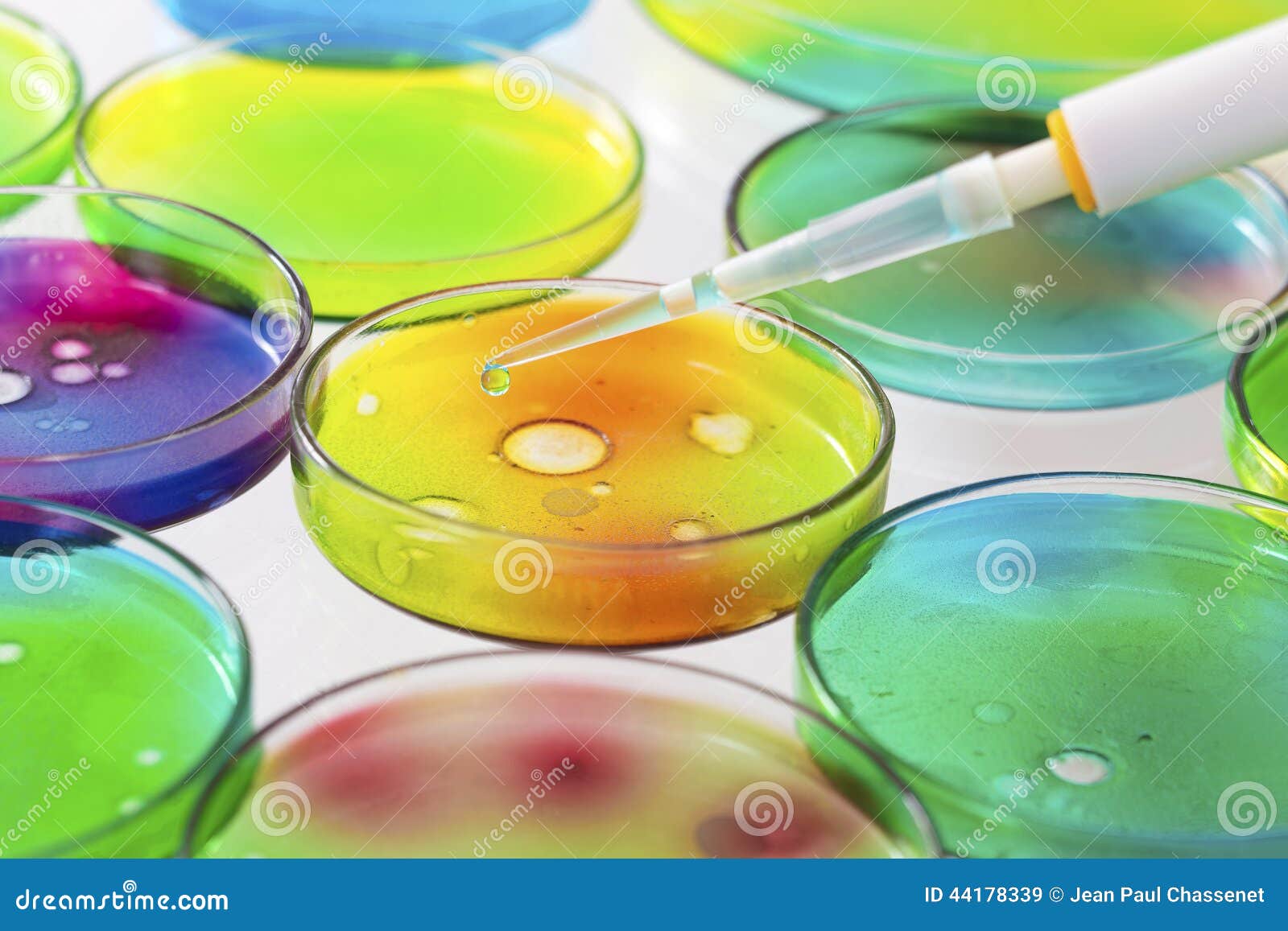 Microbiology - Pipette with Drop Liquid and Petri Dishes Stock Image ...