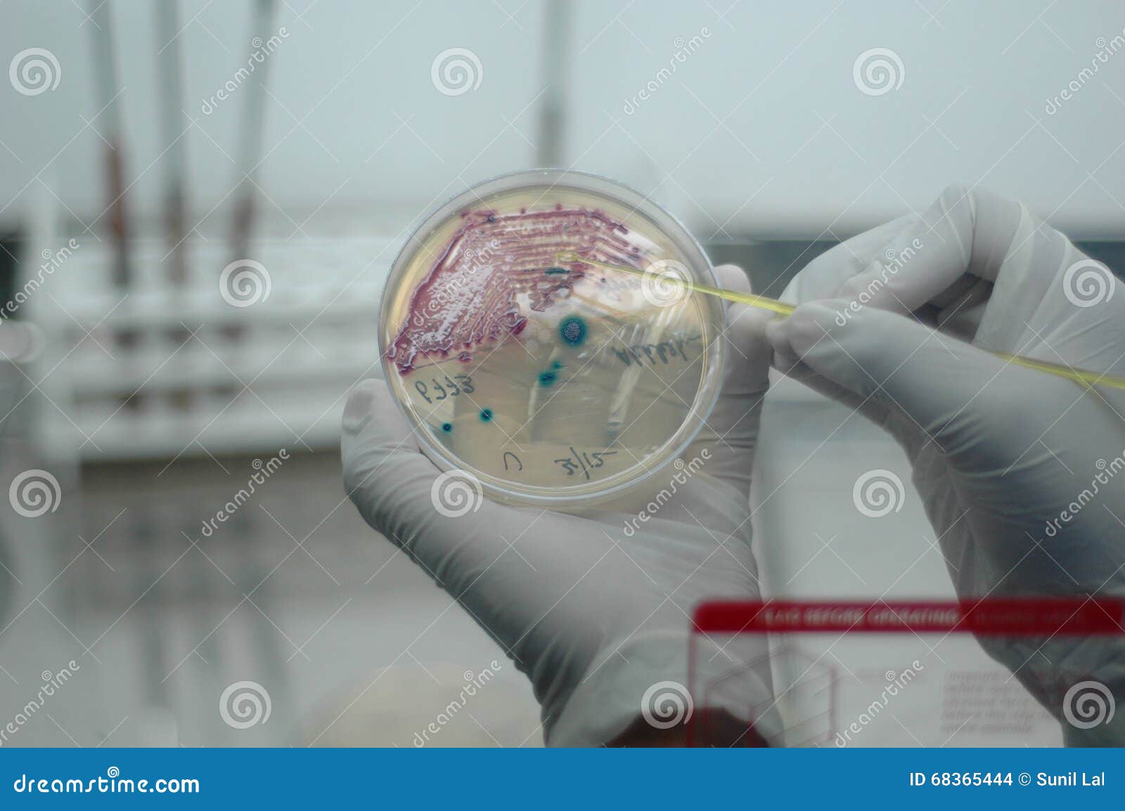 Microbiology stock photo. Image of antibodies, health - 68365444