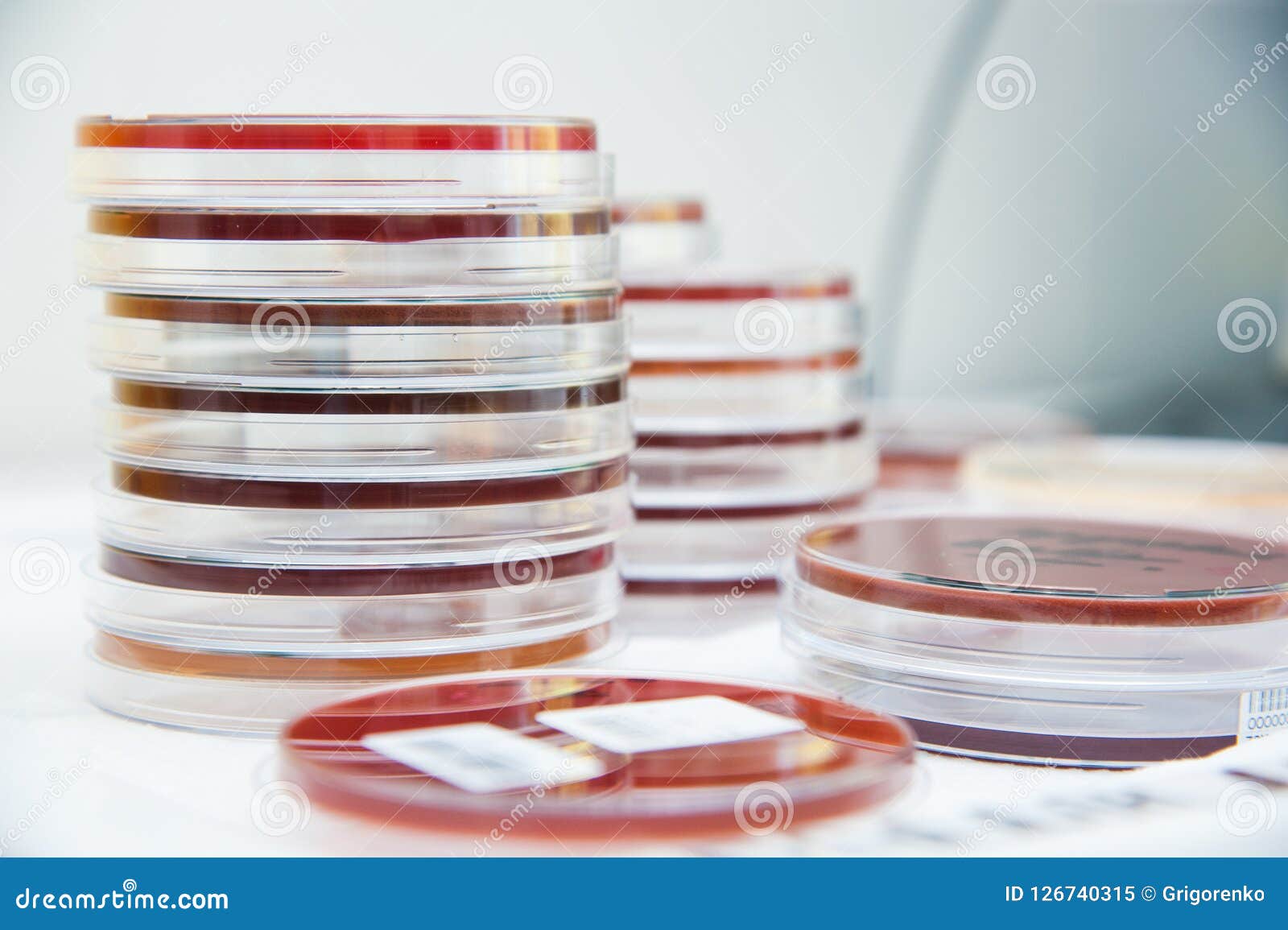 Microbiology Research in Laboratory Stock Image - Image of test ...
