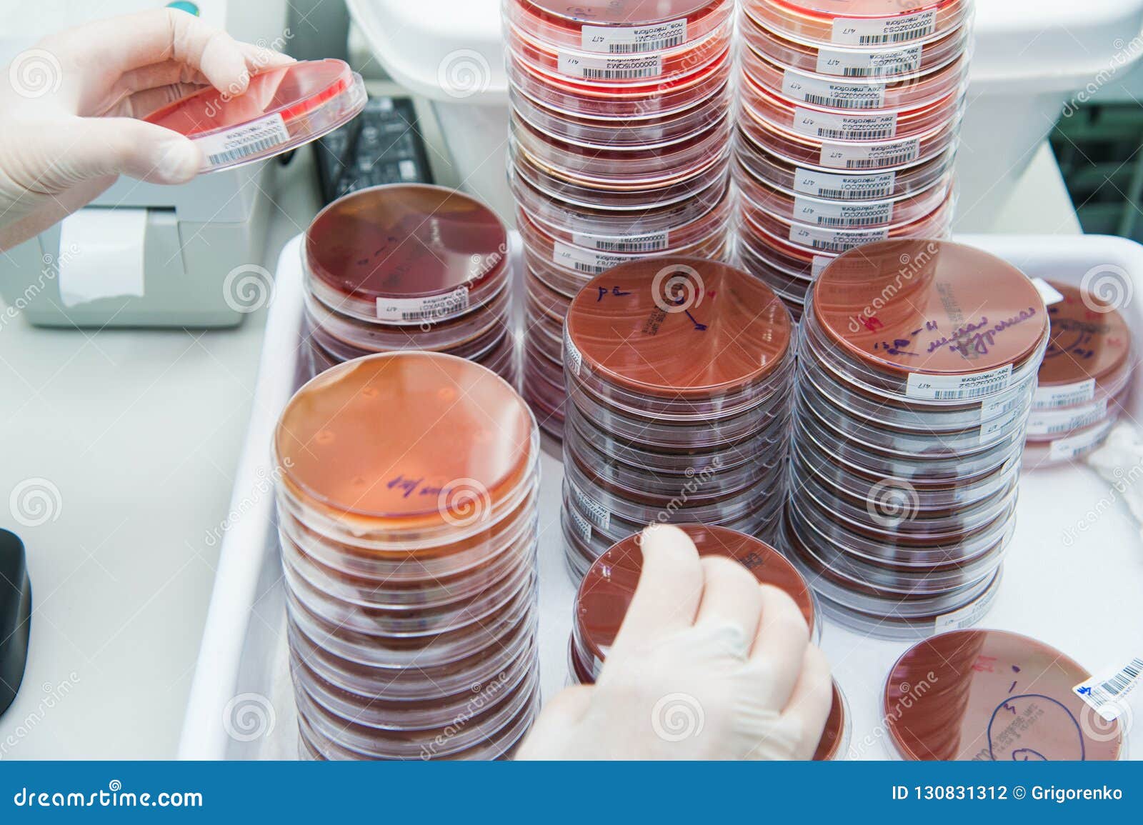 Microbiology Research in Laboratory Editorial Photography - Image of ...