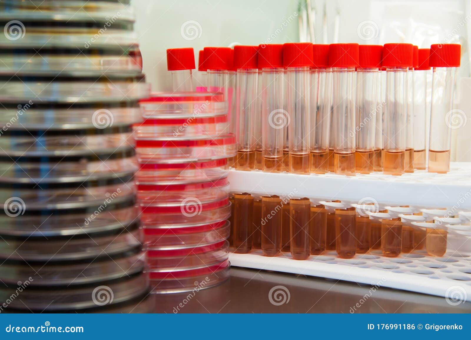 Microbiology Research in Laboratory Stock Photo - Image of health ...