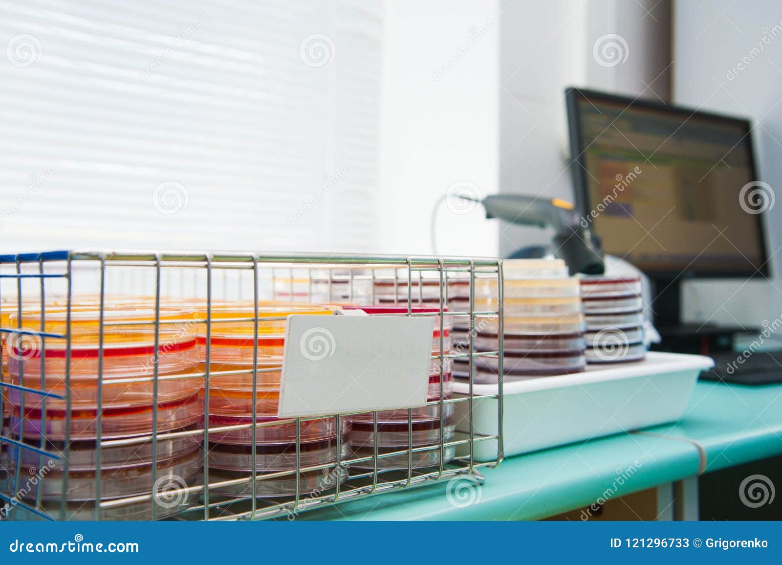 Microbiology Research in Laboratory Stock Image - Image of petri ...