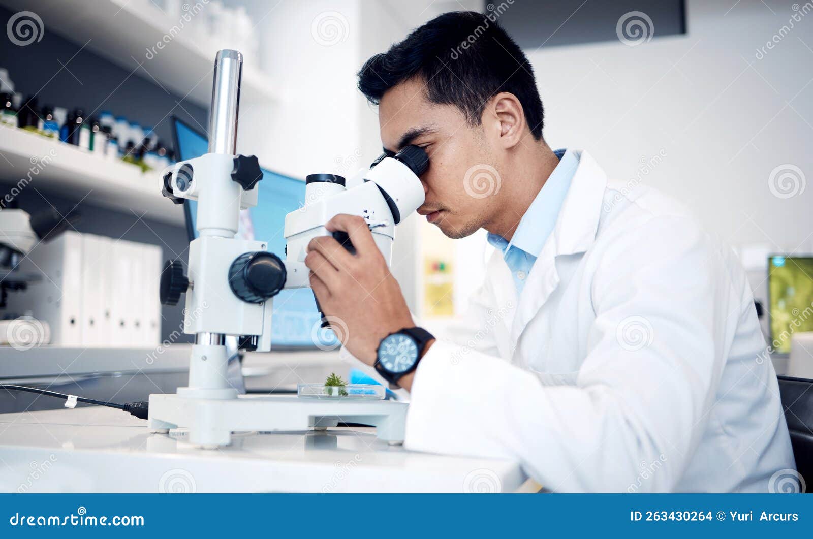 Microbiology, Research and Scientist with Microscope for Bacteria in a ...