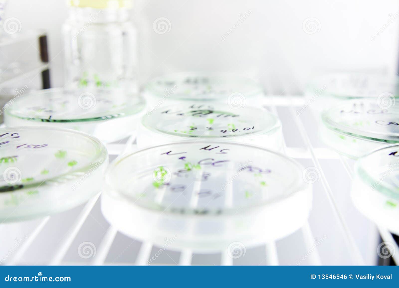 Microbiology science stock photo. Image of education - 13546546