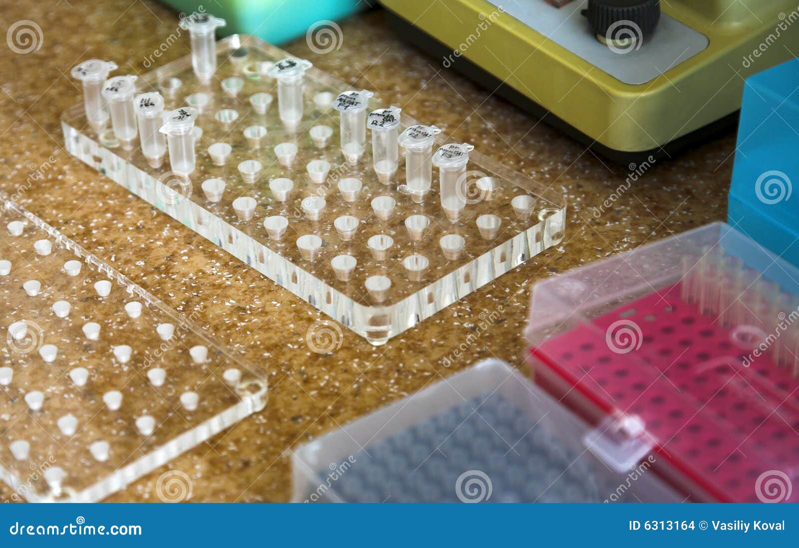 Microbiology science stock photo. Image of pharmaceutica - 6313164