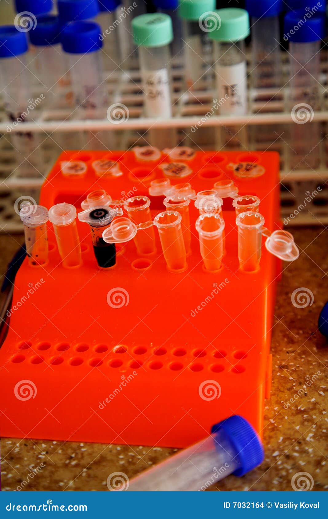 Microbiology science stock photo. Image of chemistry, analysis - 7032164