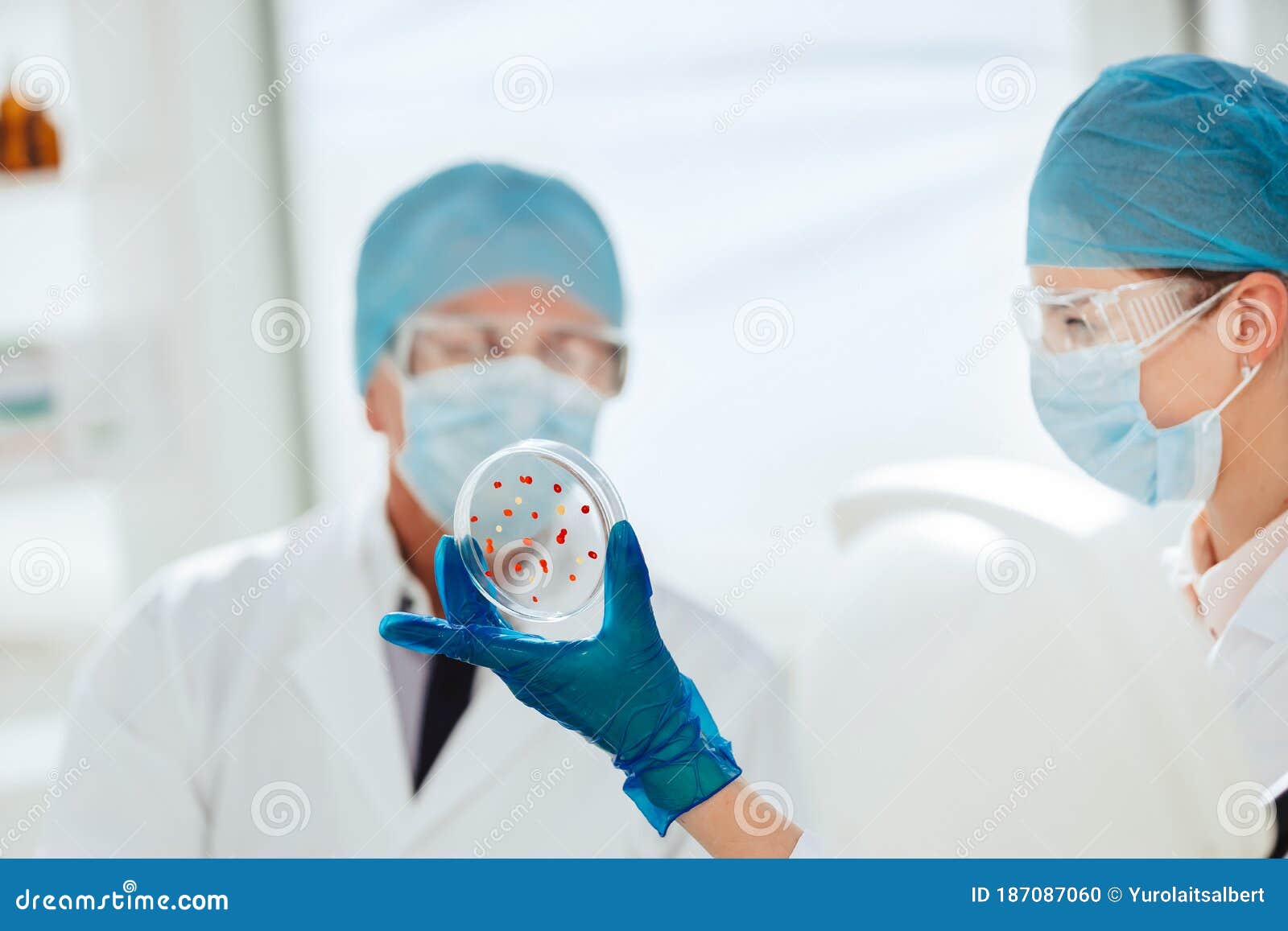 Microbiology Scientists Discussing the Development of Viral Cells Stock ...