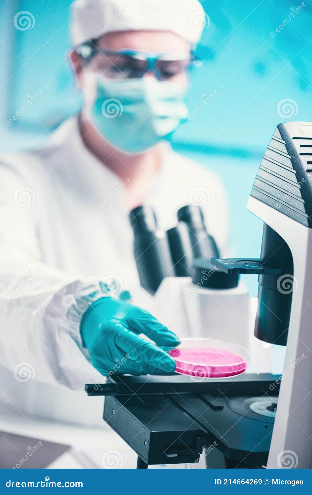 Microbiology, Technician Working with Bacteria Strains Stock Image ...