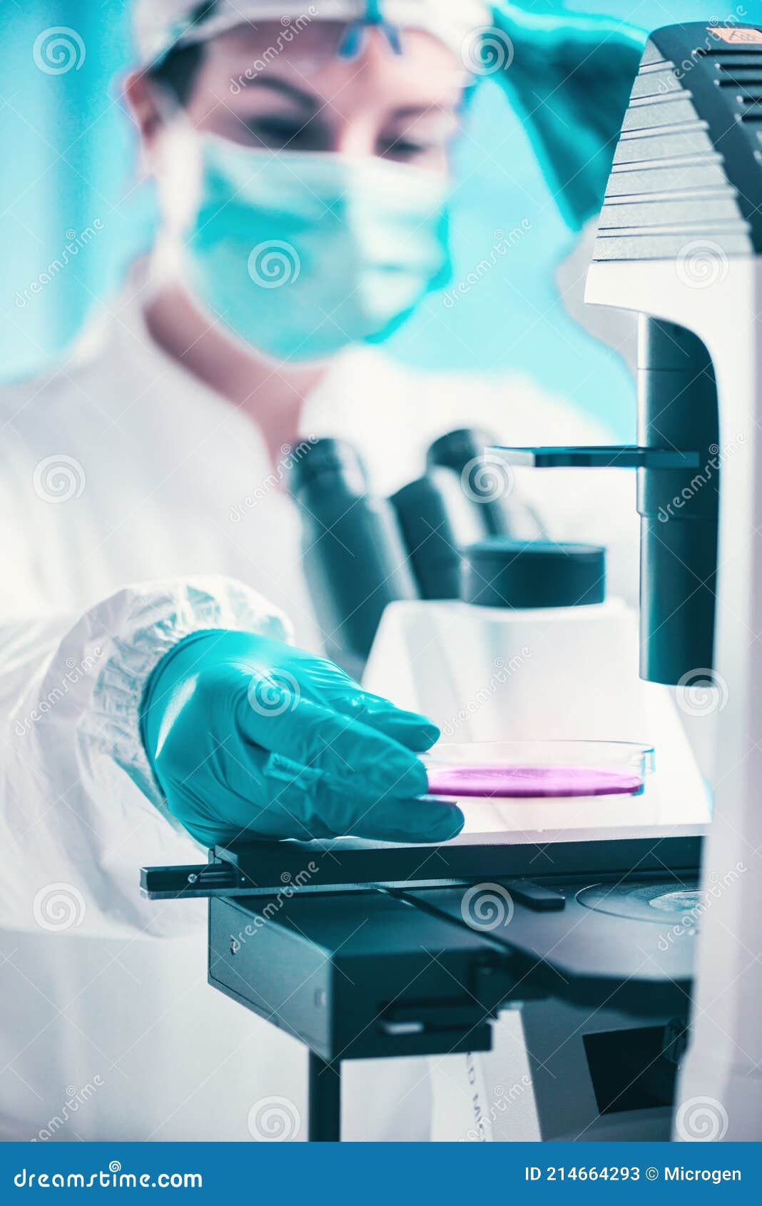 Microbiology, Technician Working with Bacteria Strains Stock Image ...