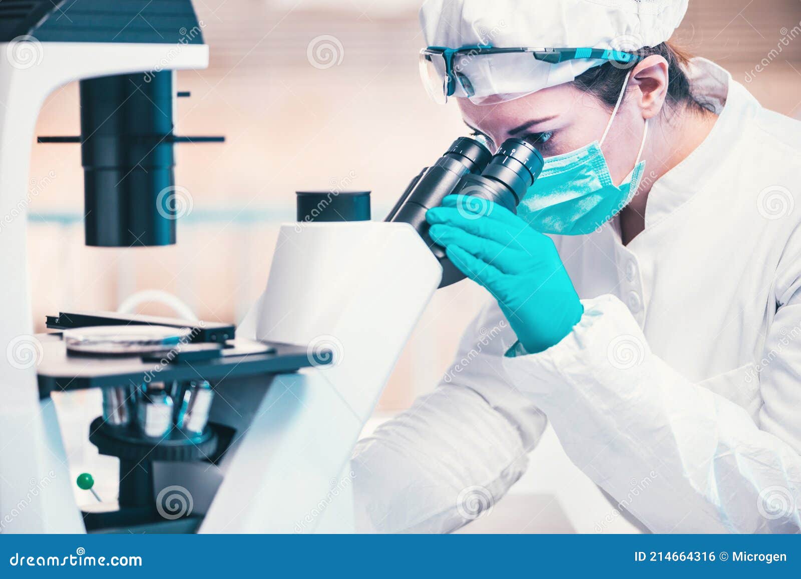 Microbiology, Technician Working with Bacteria Strains Stock Photo ...