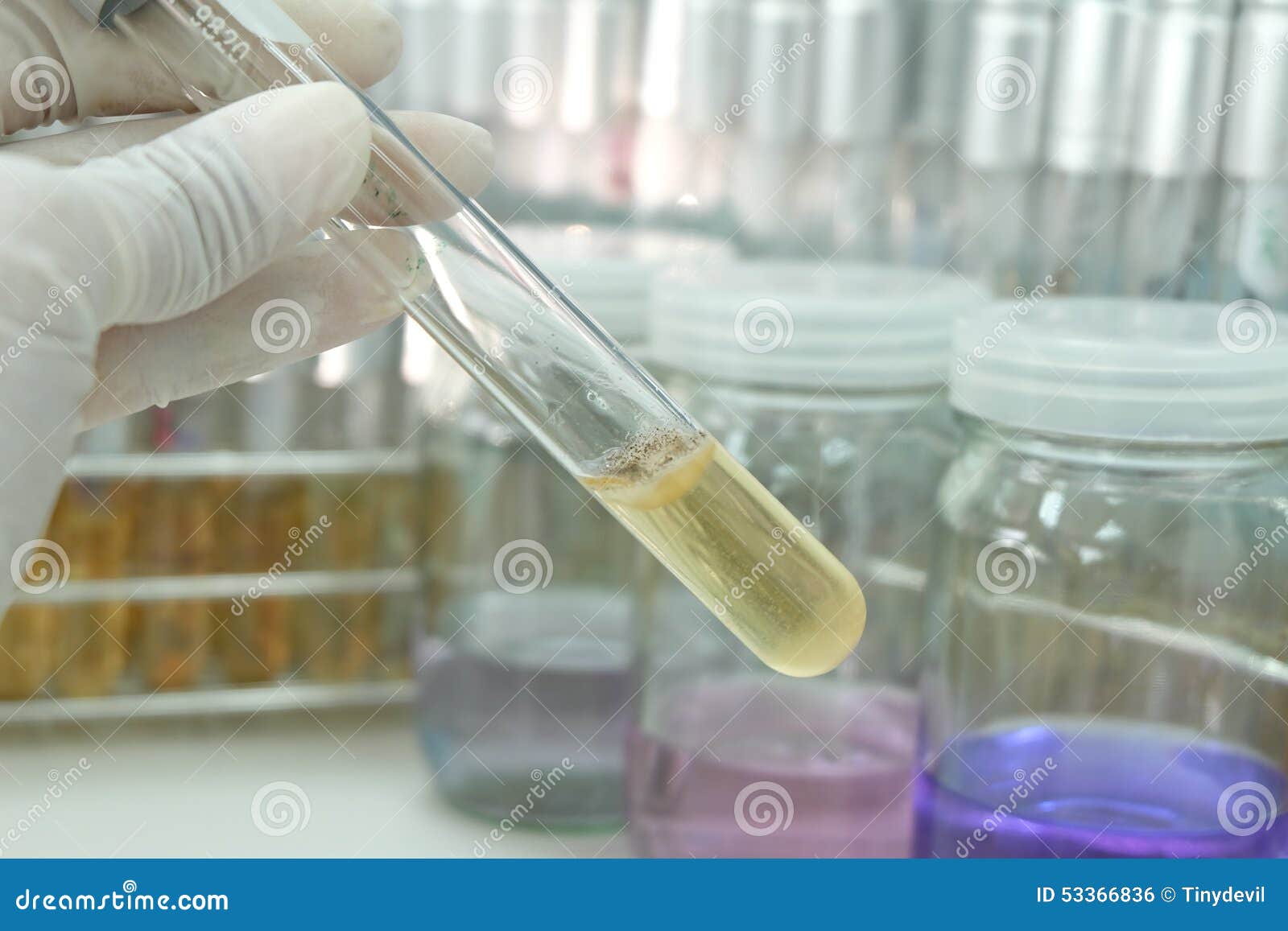 Microbiology Tool for Laboratory Test Stock Photo - Image of ...