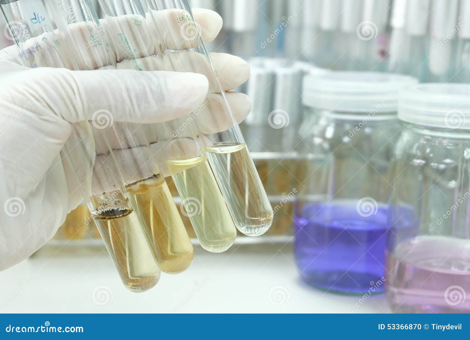Microbiology Tool for Laboratory Test Stock Photo - Image of ...