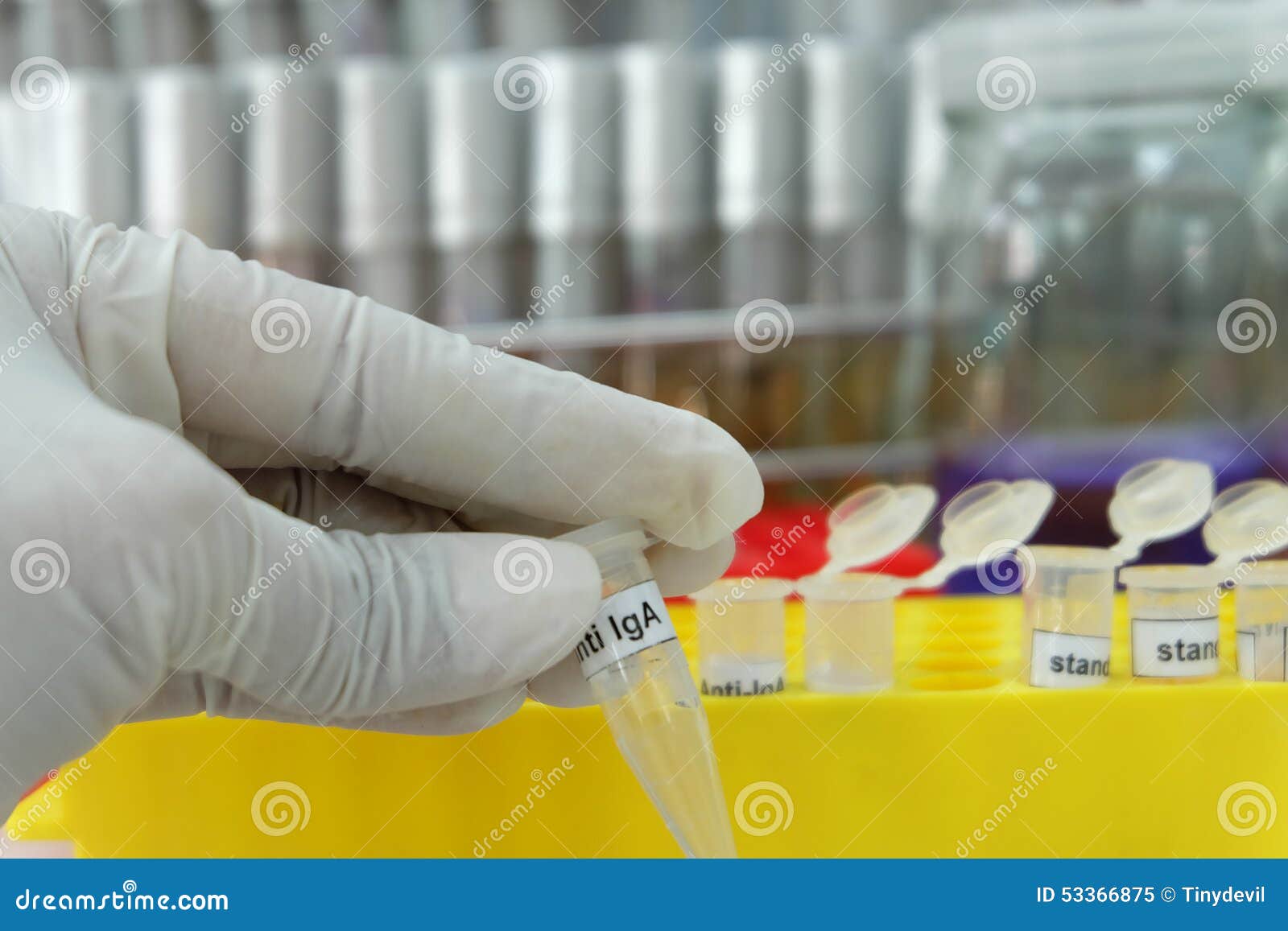 Microbiology Tool for Laboratory Test Stock Image - Image of penicillin ...