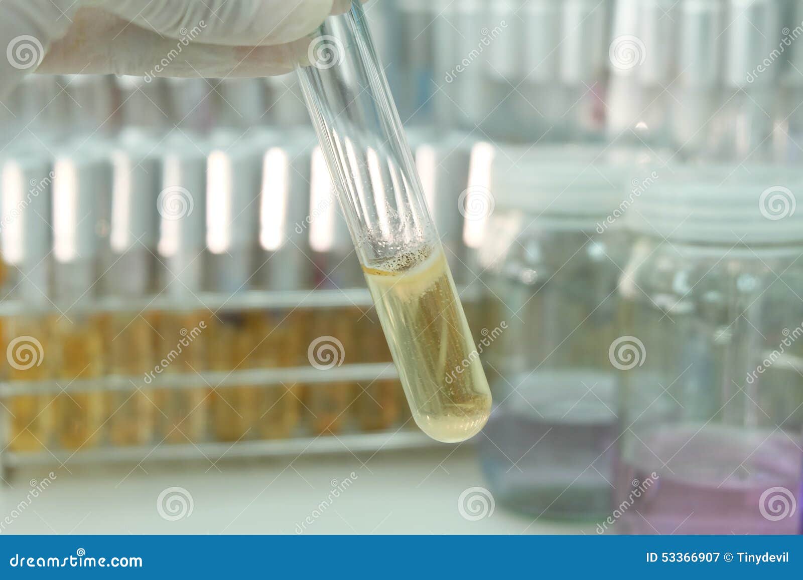 Microbiology Tool for Laboratory Test Stock Image - Image of medicine ...