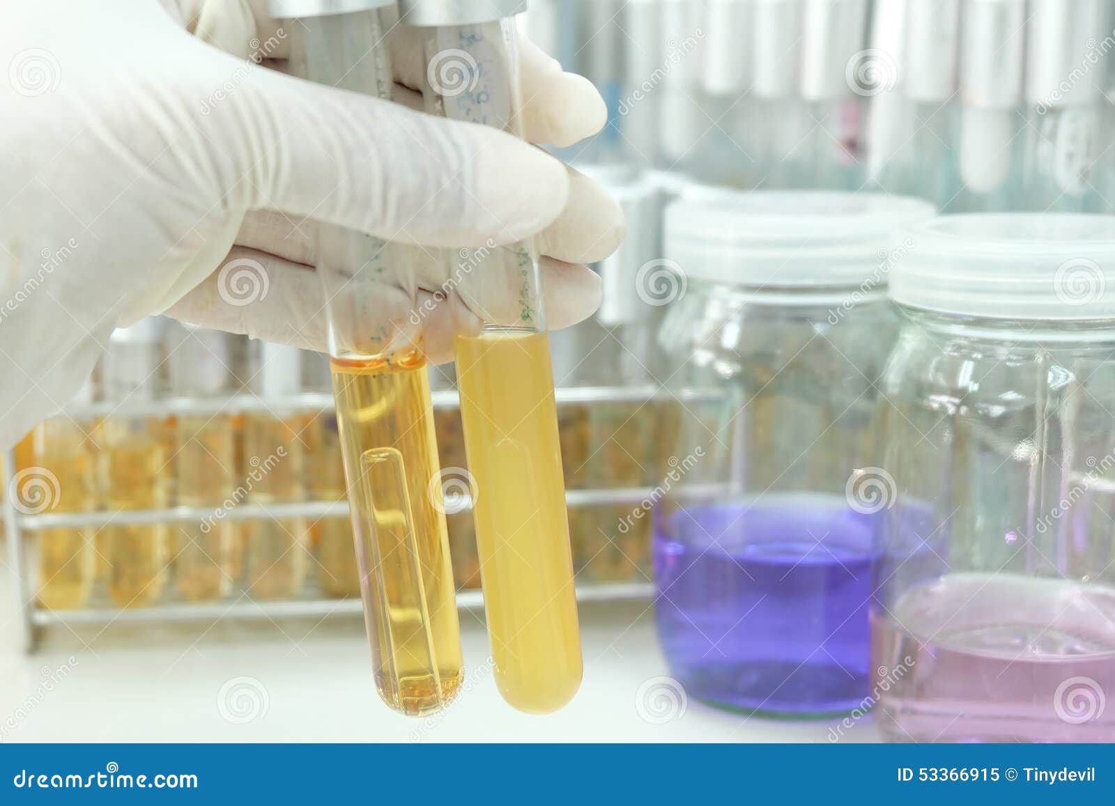 Microbiology Tool for Laboratory Test Stock Image - Image of ...