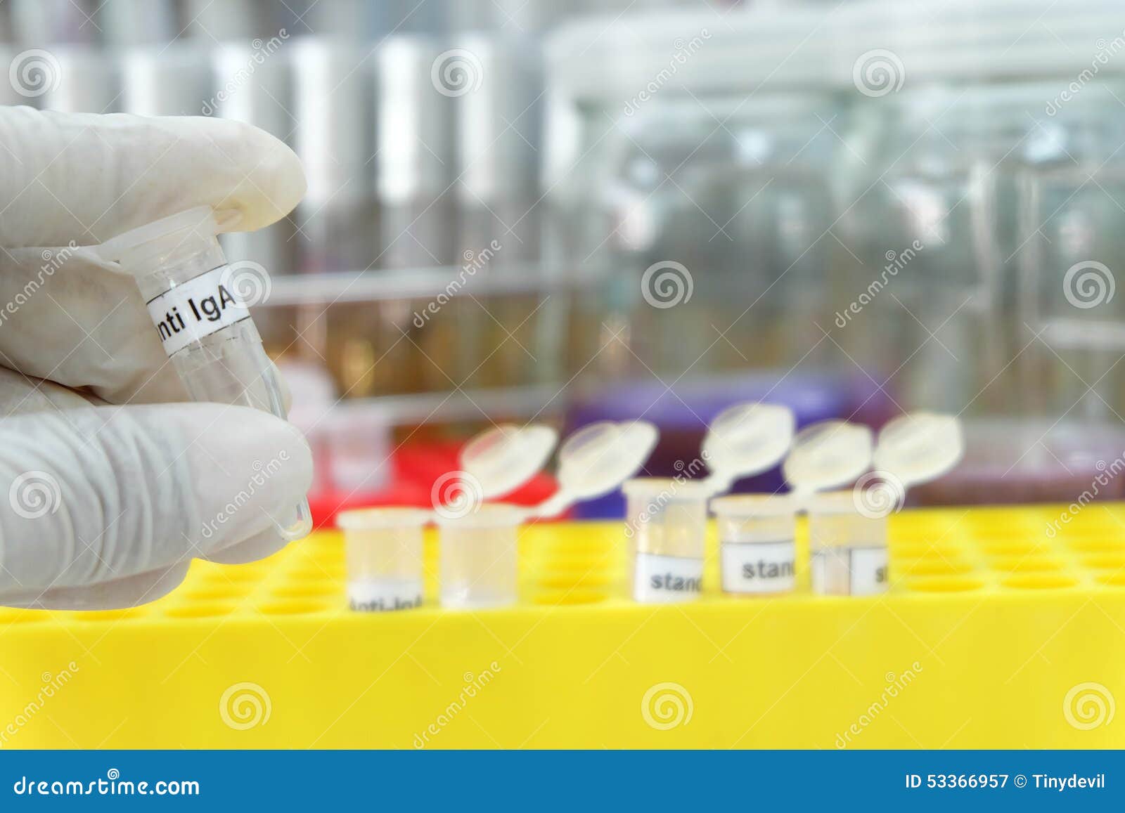 Microbiology Tool for Laboratory Test Stock Image - Image of molecular ...