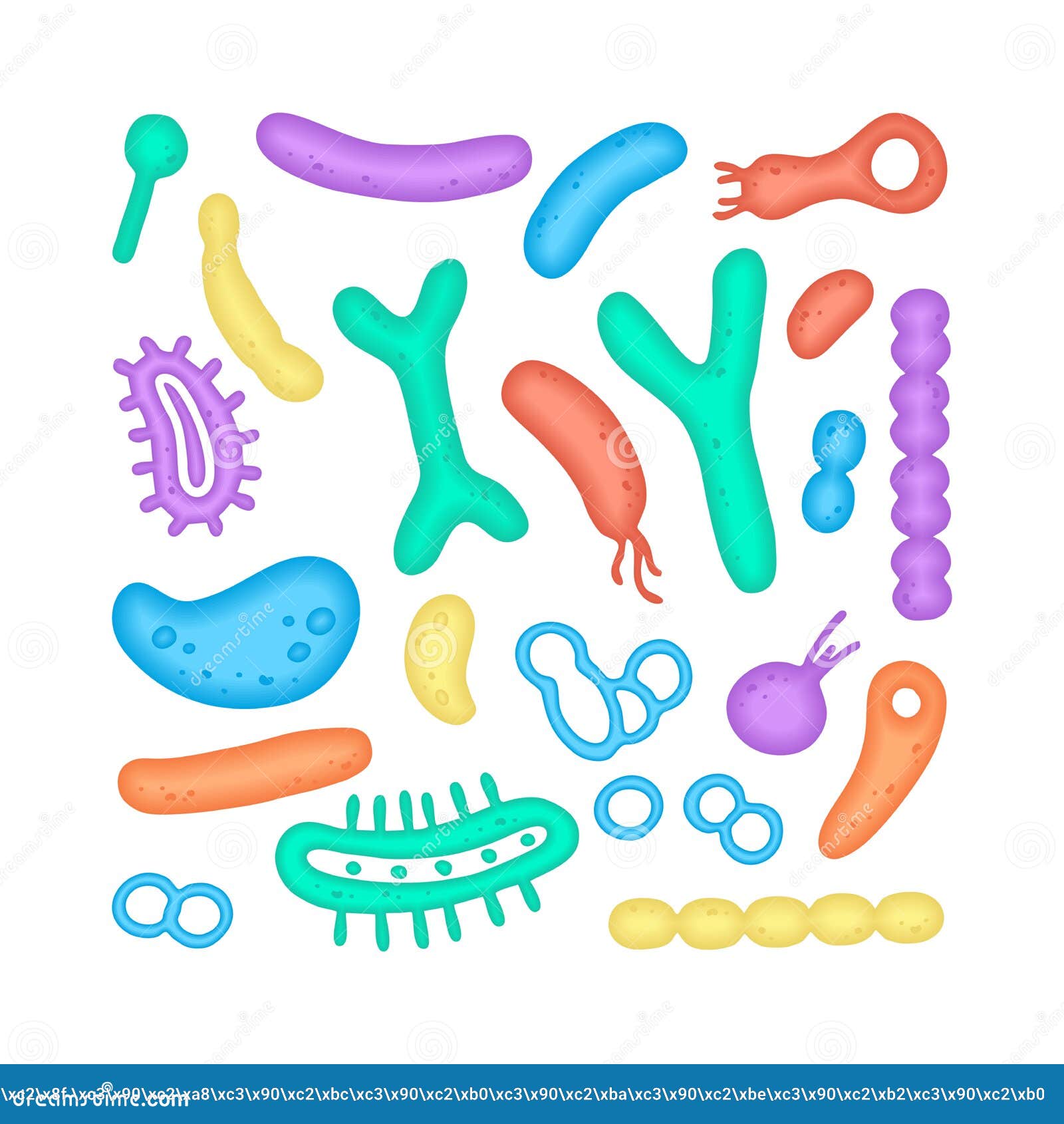 Microbiome Illustration Of Bacteria Vector Image Gastroenterologist Bifidobacteria
