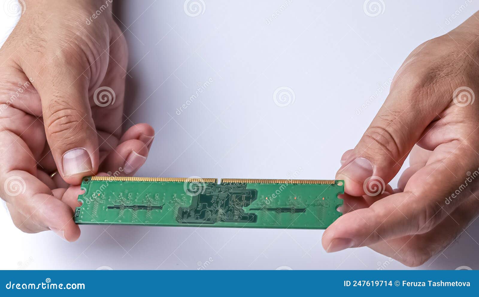 Microchip in a man s hand stock photo. Image of organ - 247619714
