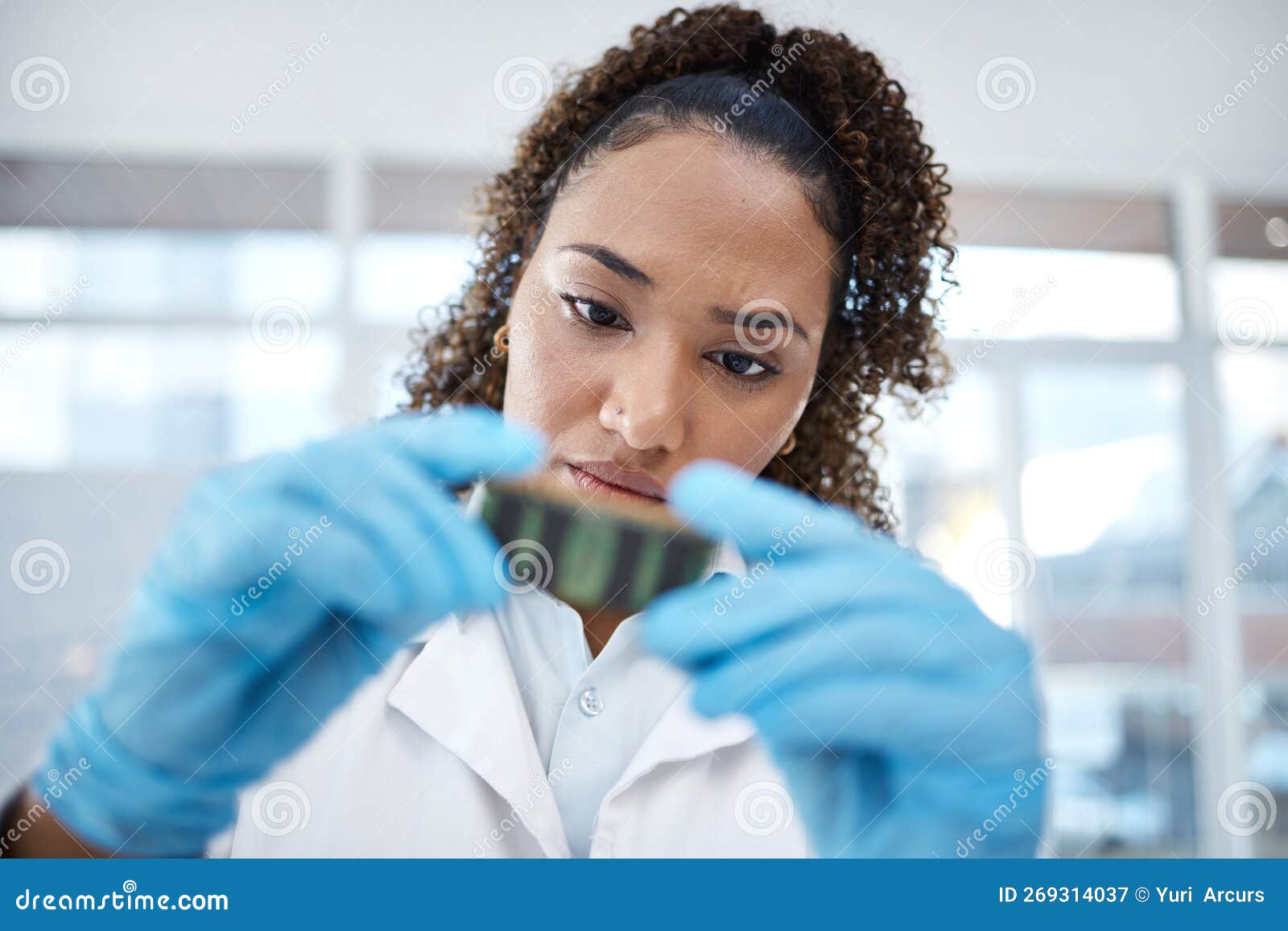 Microchip, Research and Scientist Looking at Dna, Digital Analysis and ...