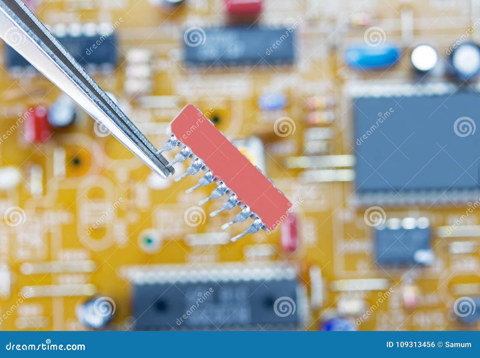 Microchip with tweezers stock photo. Image of electricity - 109313456