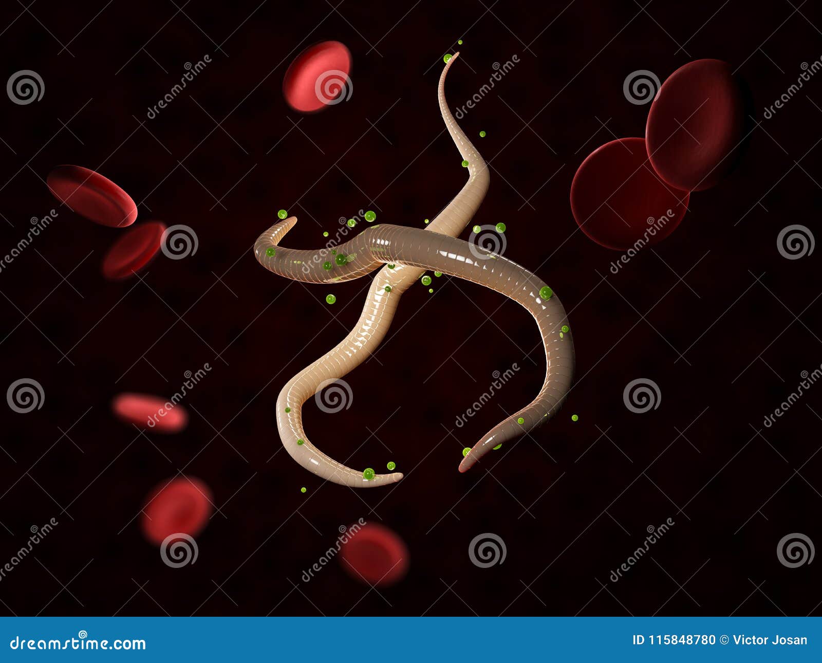 Microfilaria Worms in Blood, 3D Illustration. Stock Illustration ...