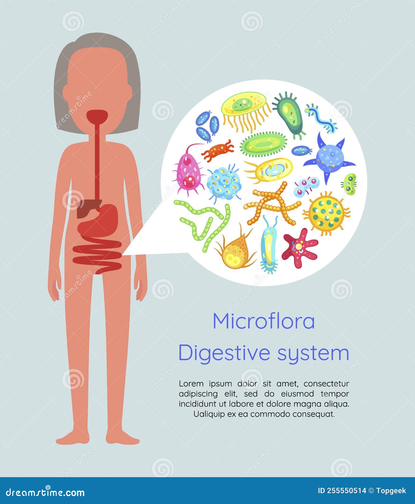 Microflora Digestive System Vector Illustration Stock Vector ...