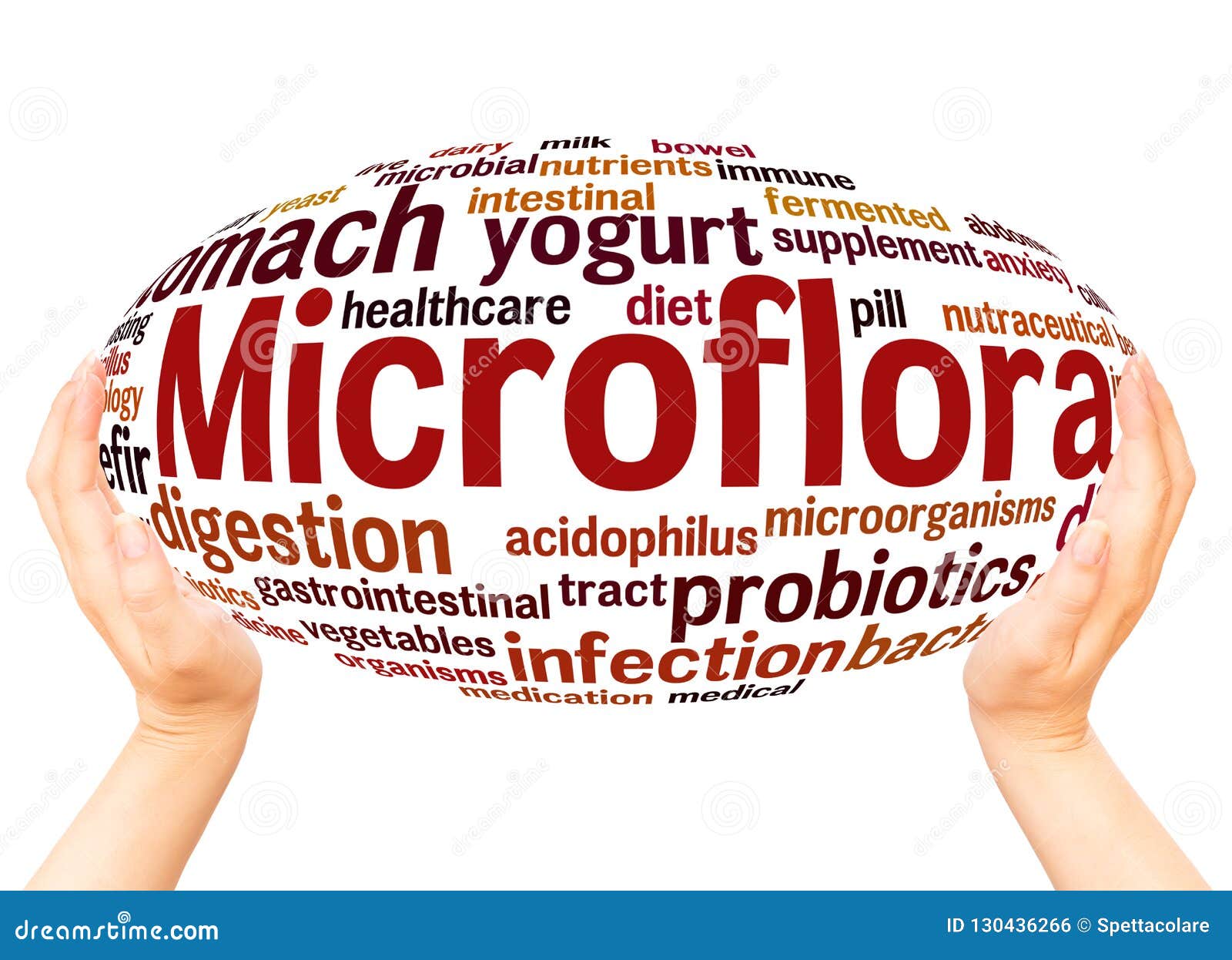 Microflora Word Cloud And Hand With Marker Concept Royalty-Free Stock ...