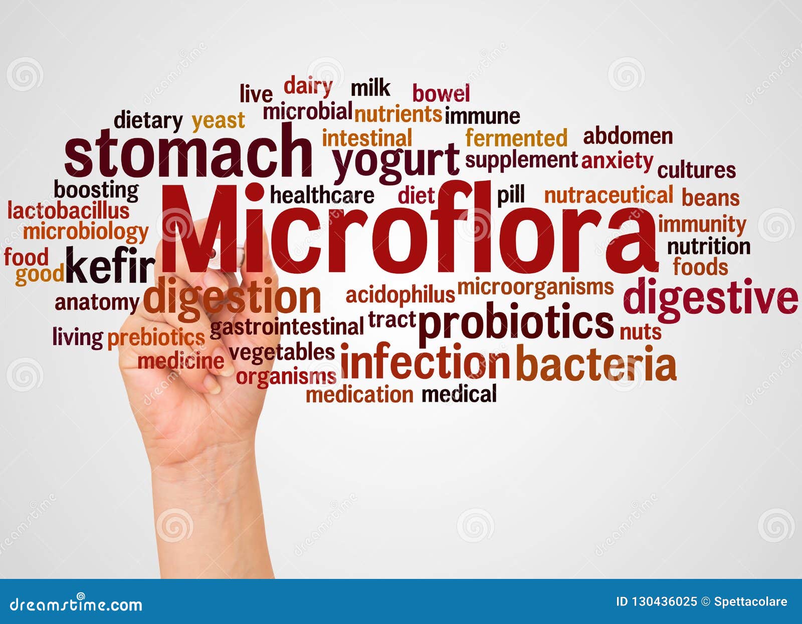 Microflora Word Cloud And Hand With Marker Concept Royalty-Free Stock ...