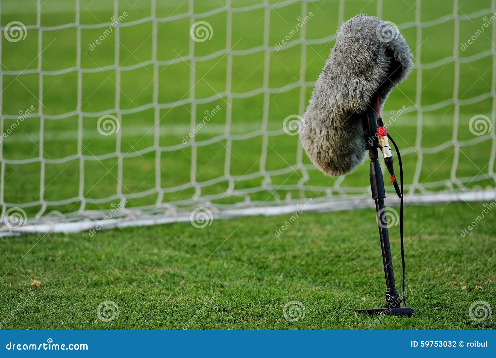 Microfone Profissional No Campo De Futebol Foto de Stock - Imagem de ...