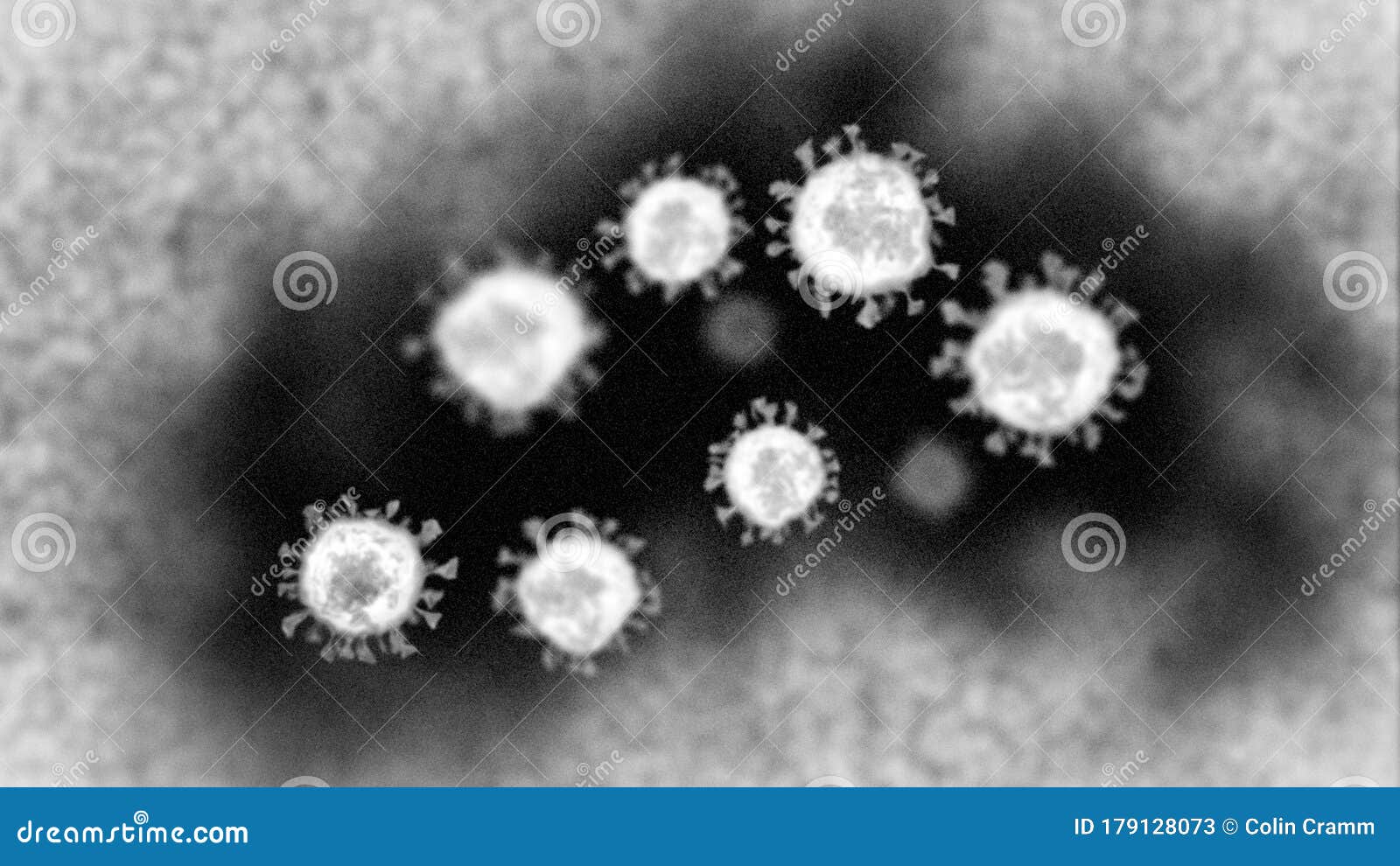 Micrograph of Coronavirus Particles Under Electron Microscope Stock ...