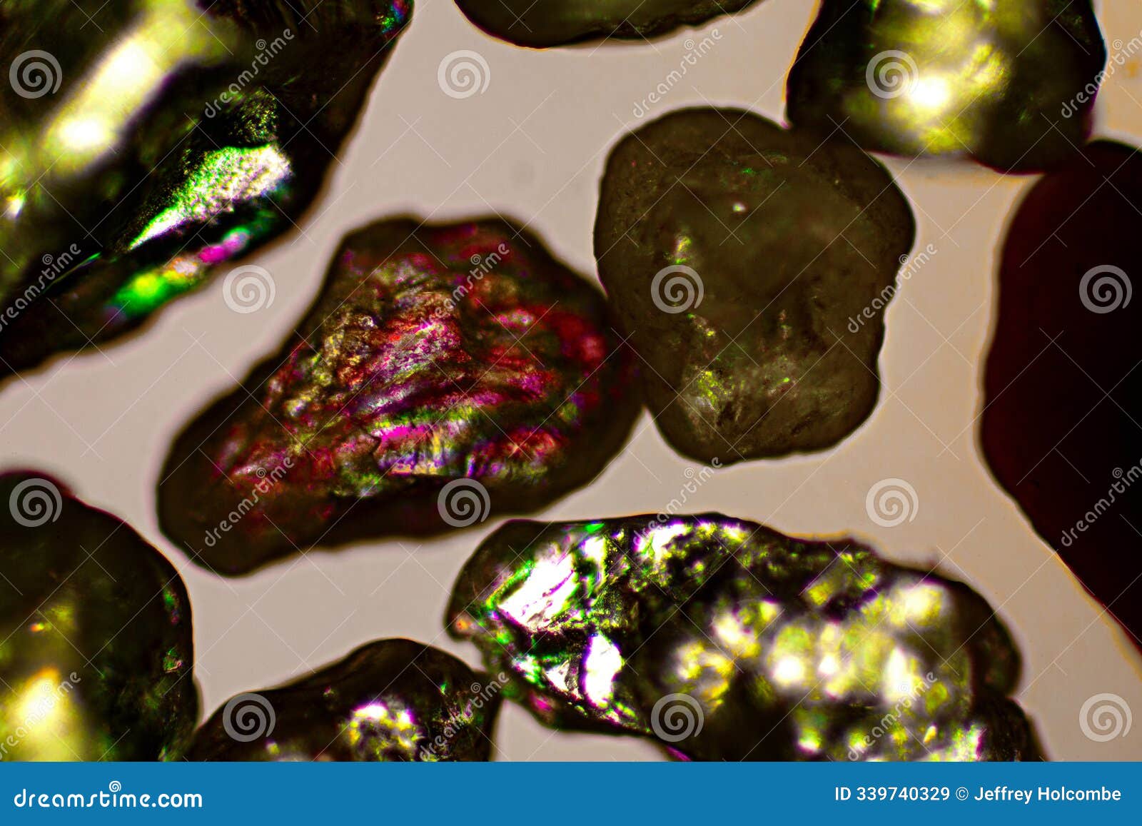 Micrograph of Sand from Nantucket Island in Massachusetts, with ...