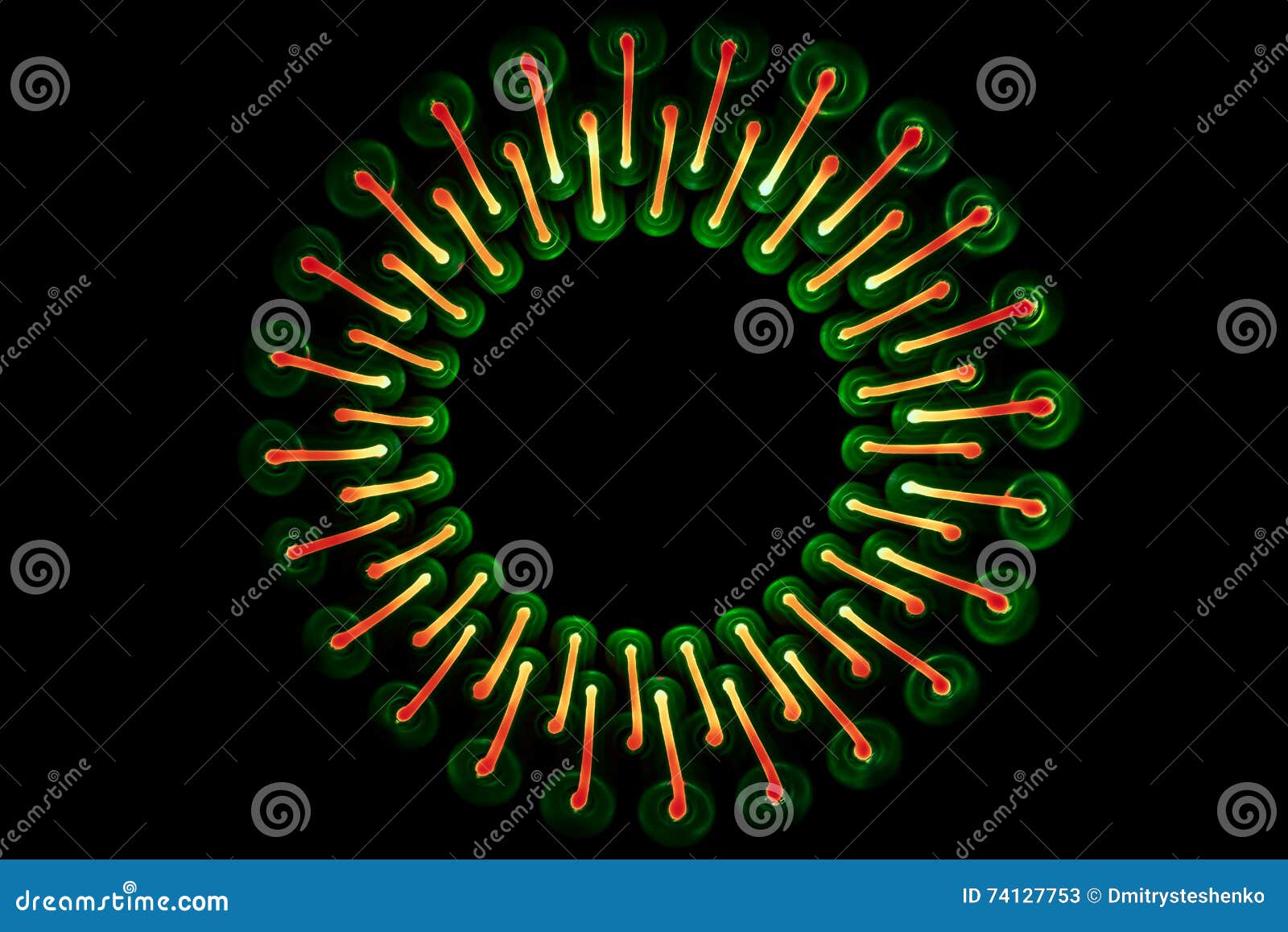 Micrograph Of A Black Bumblebee Sitting On A Spiny Shell Of A Chestnut ...