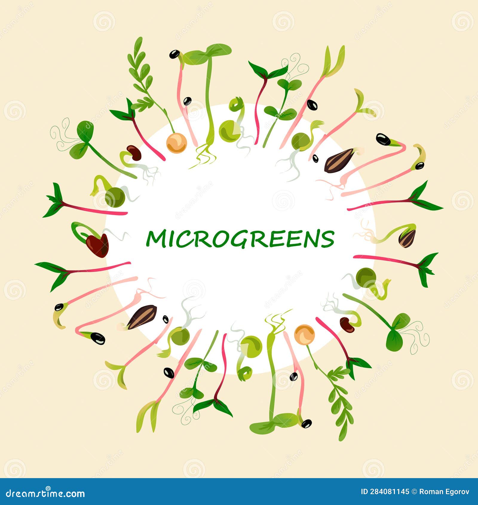 Microgreen Circle Frame. Growing Seed, Seedling with Leaves. Green ...
