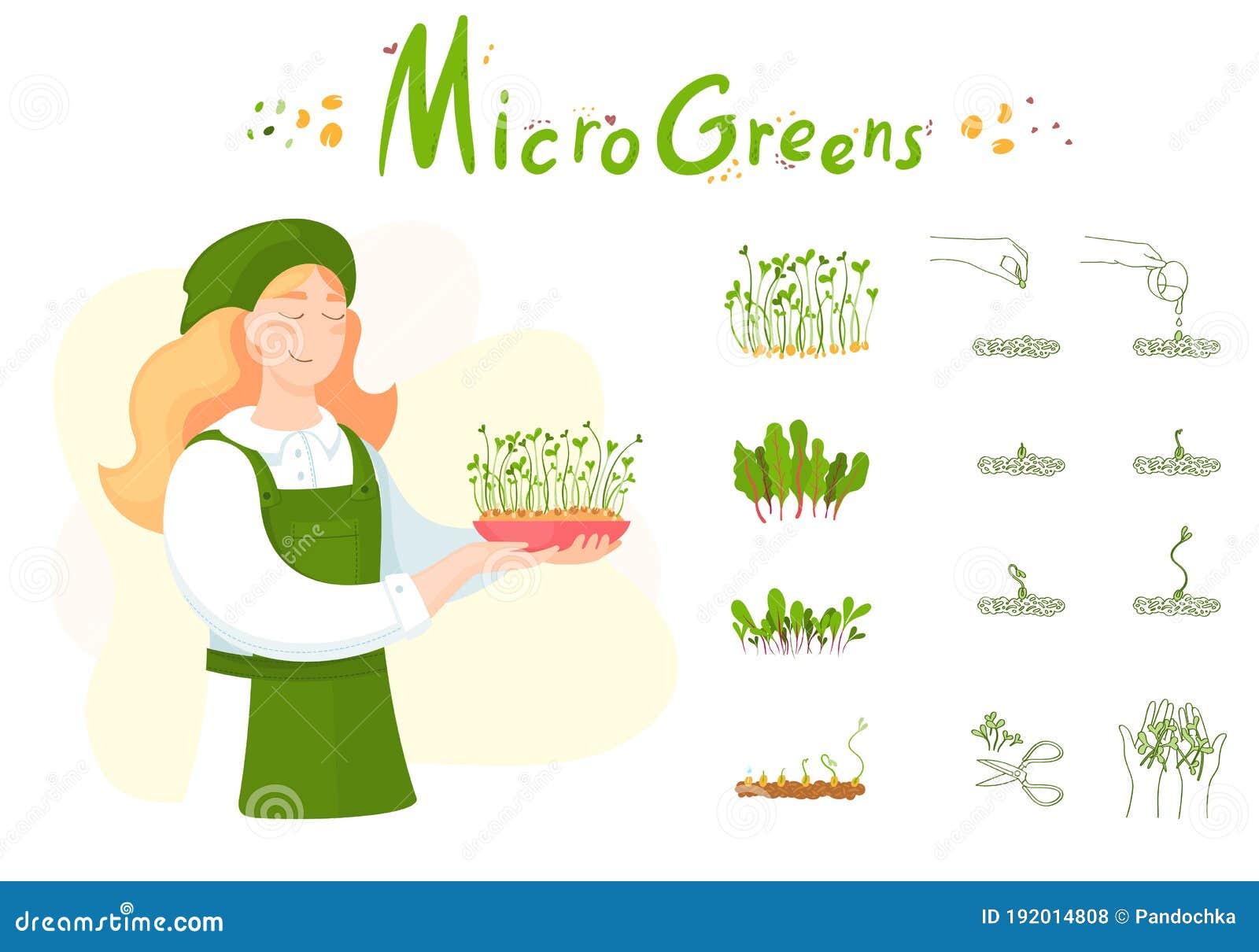 Microgreen. the Girl Sprouts Microgreen Stock Vector - Illustration of ...