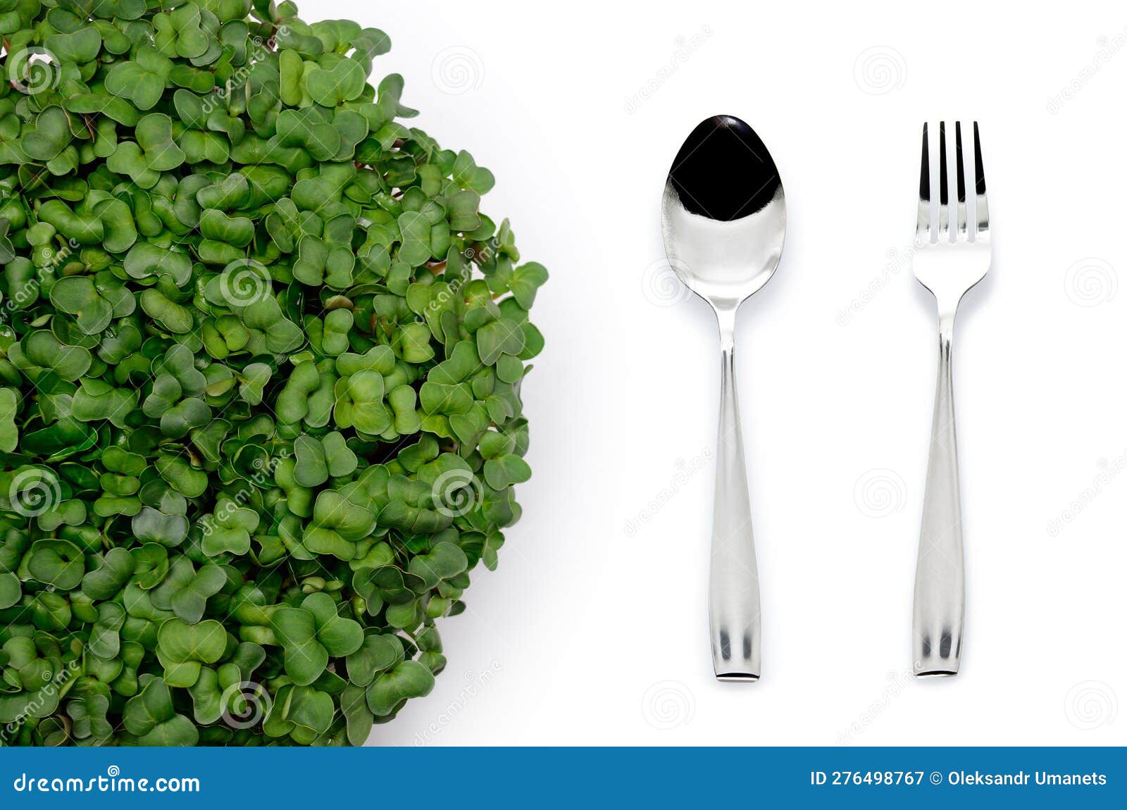 Micro Green Leaves and Cutlery on White Background Stock Image - Image ...