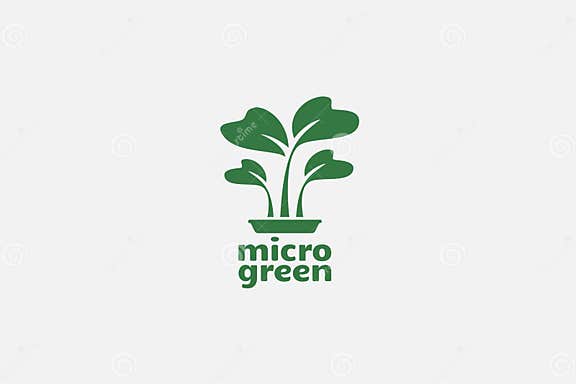 Microgreen Logo with Vegetable Sprouts As the Icon Stock Vector ...