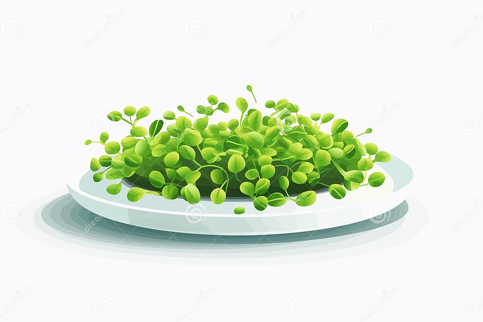 Microgreen on Plate Vector Flat Minimalistic Isolated Vector Style ...