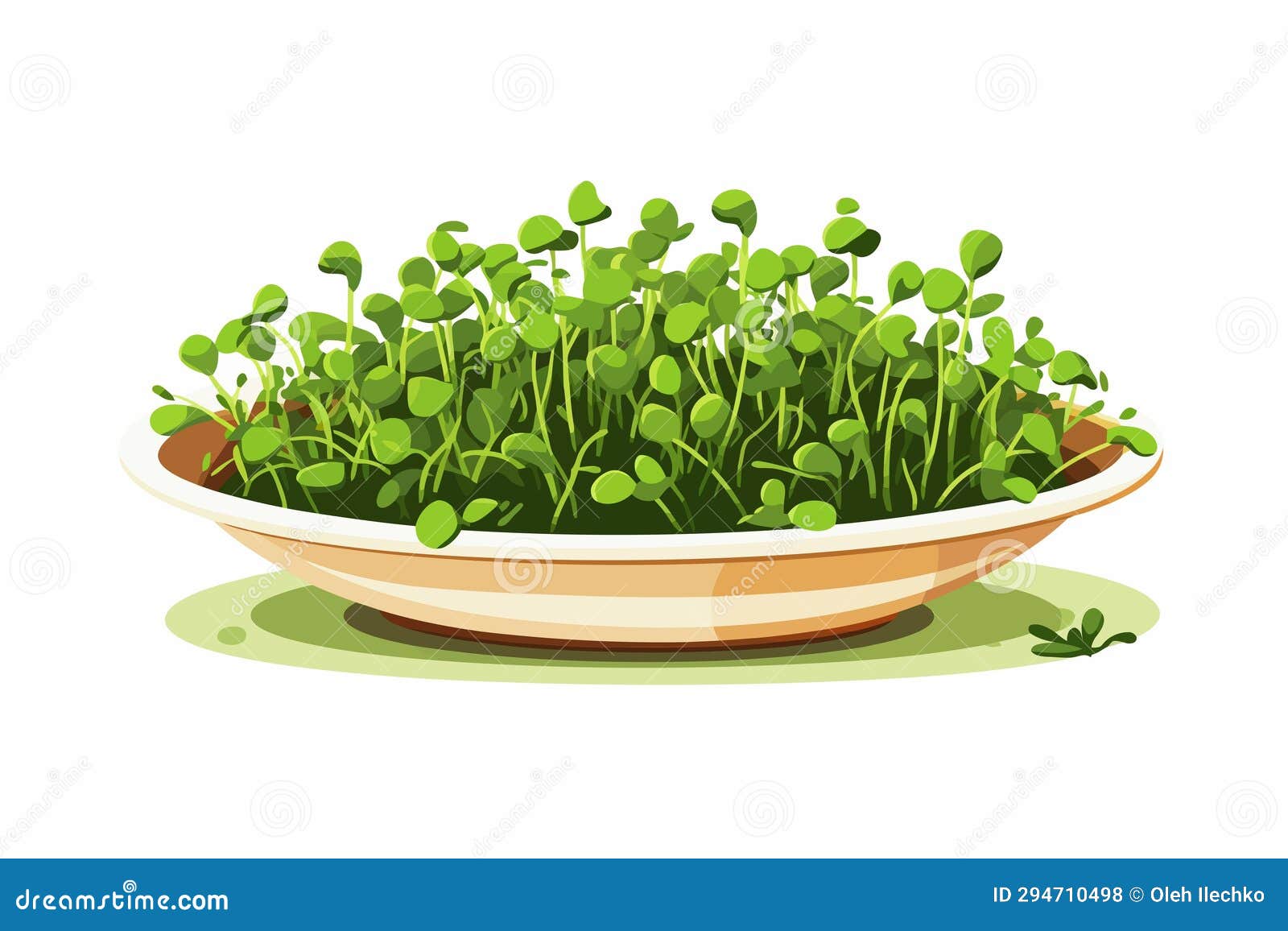 Microgreen on Plate Vector Flat Minimalistic Isolated Vector Style ...
