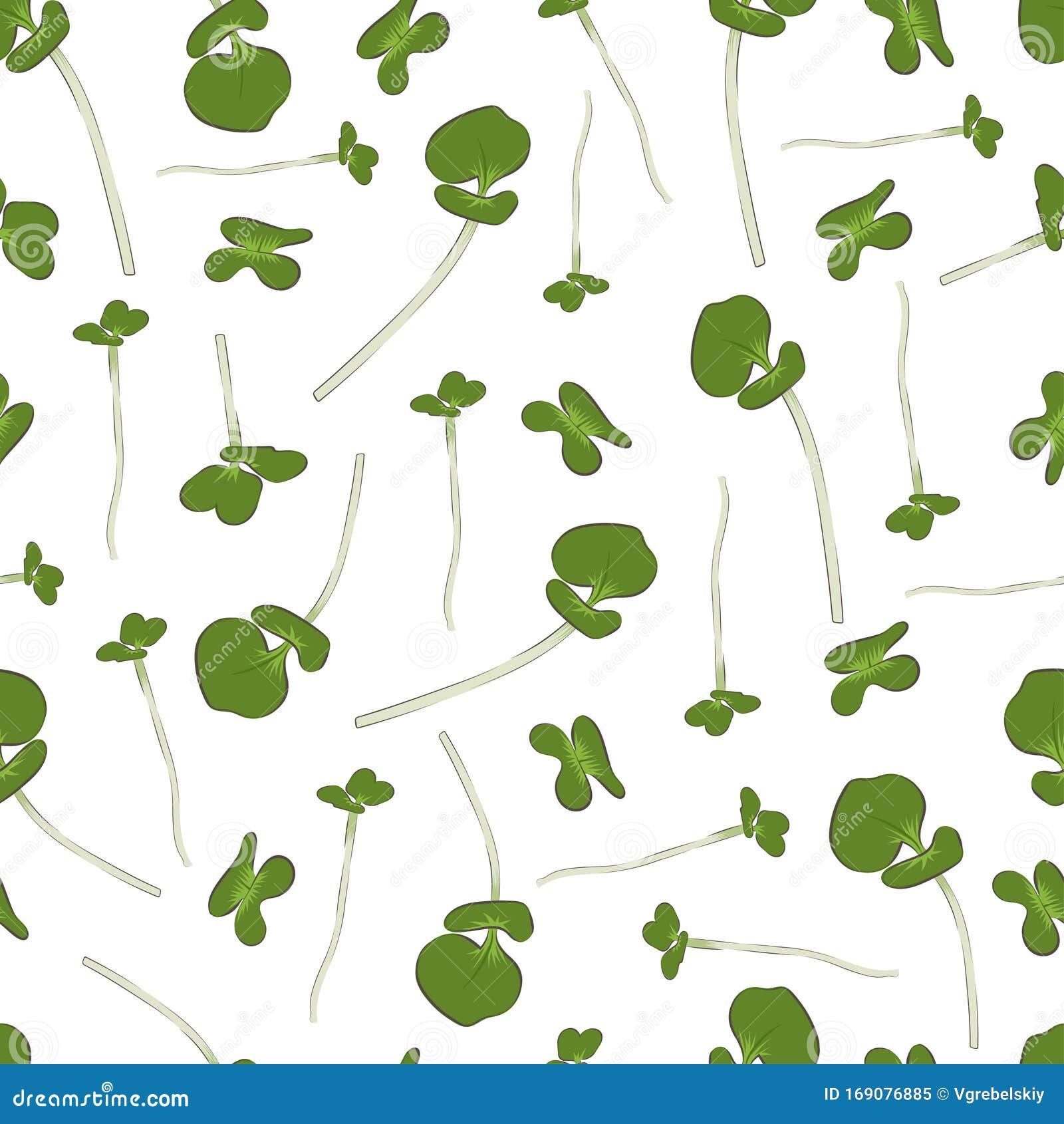 Microgreen. Seamless Pattern Stock Vector - Illustration of element ...