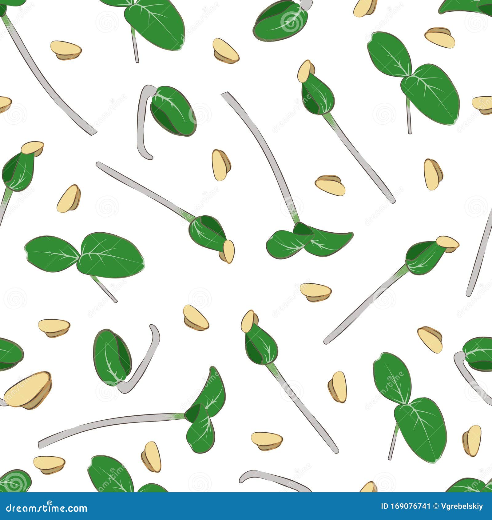 Cucumber Microgreen. Texture. Cartoon Vector | CartoonDealer.com #176013413