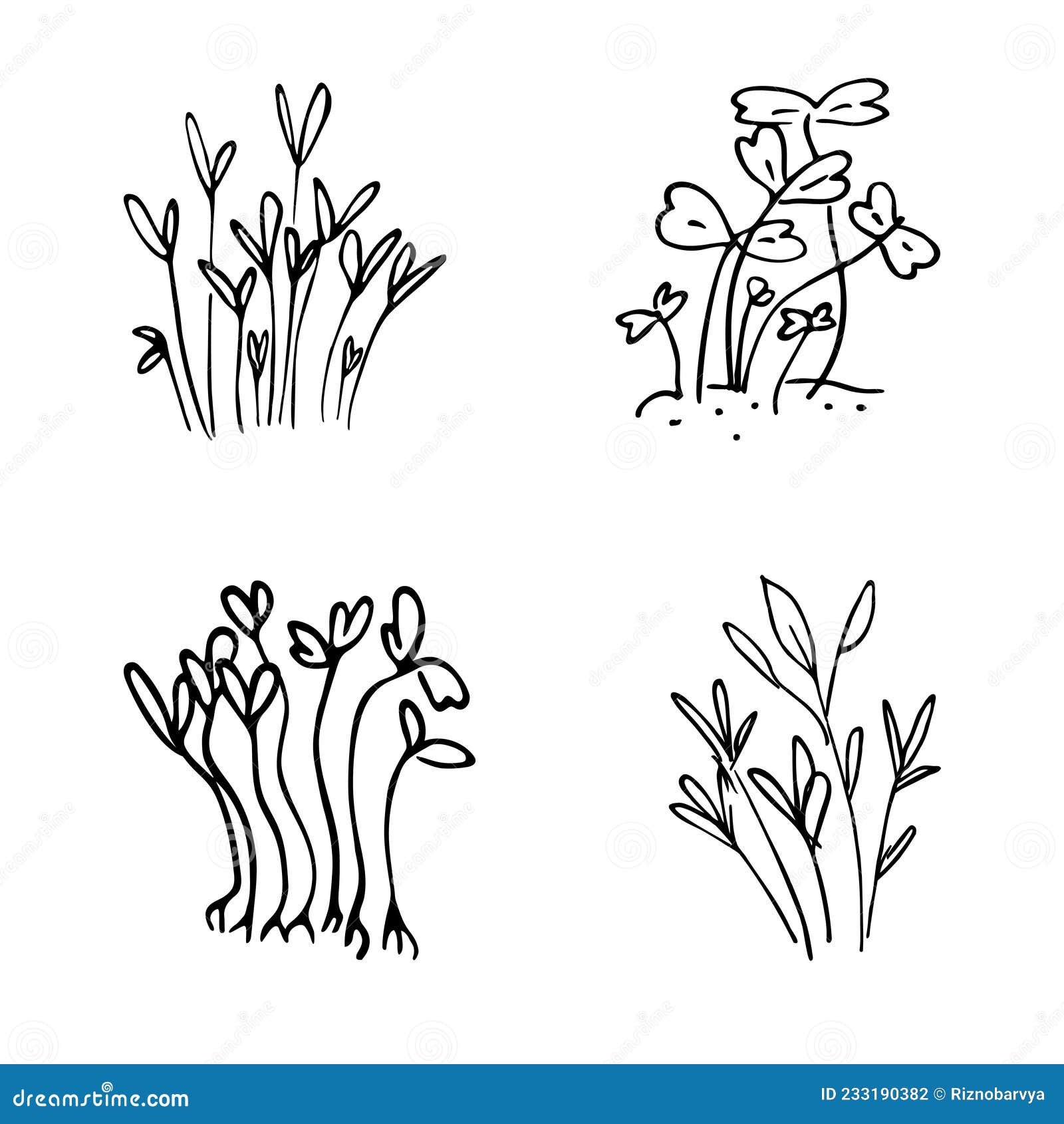 Microgreen Sketch. Set of Doodle Illustrations Stock Vector ...