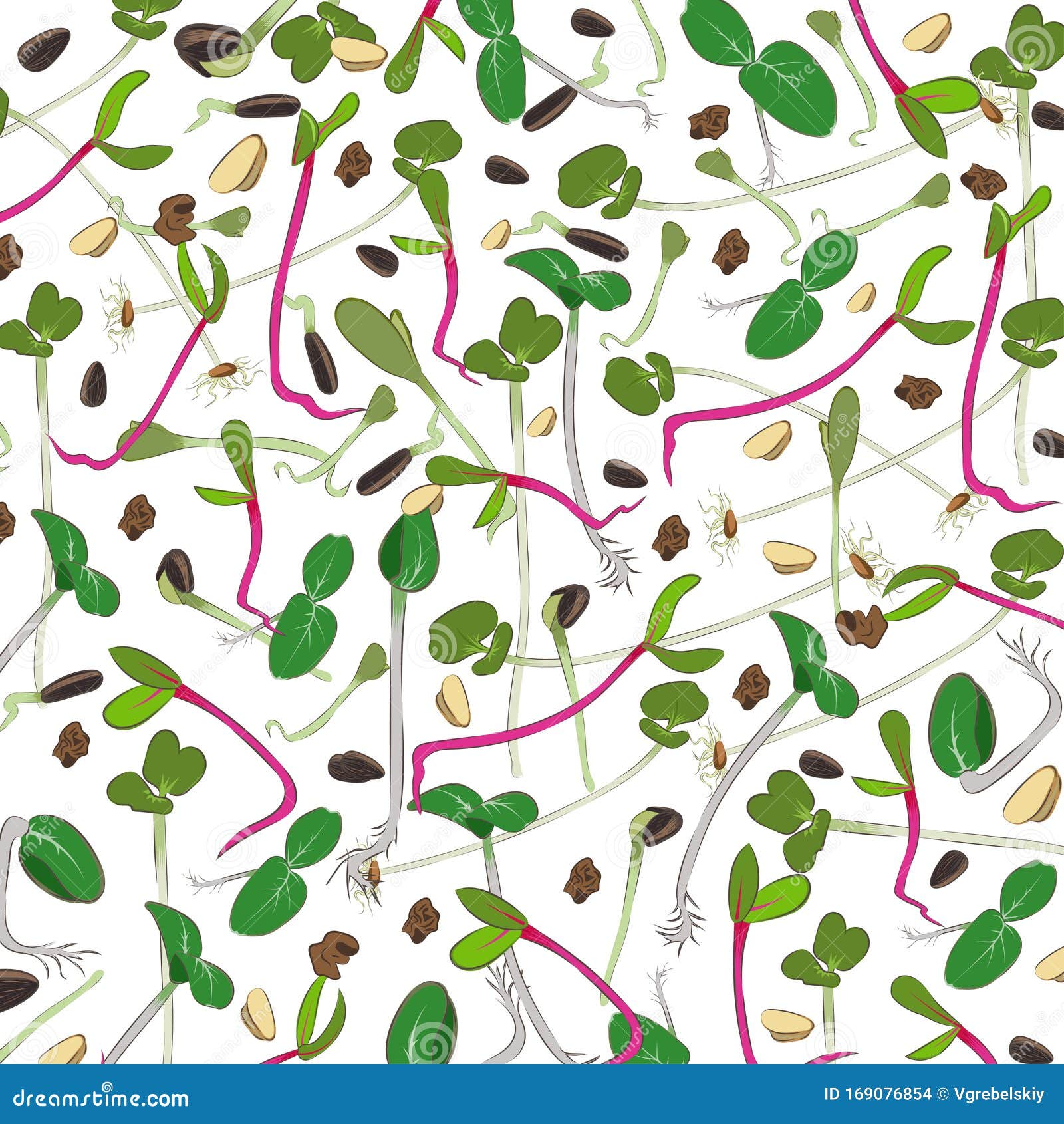 Microgreen. Texture stock vector. Illustration of garden - 169076854