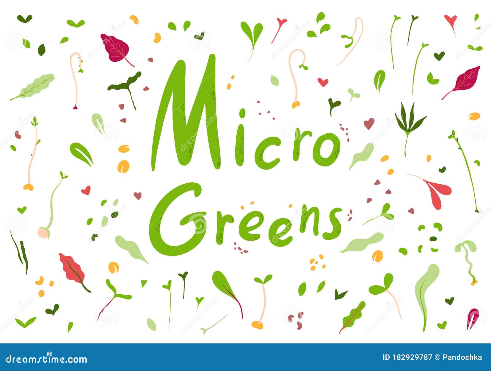 Microgreens Or Baby Greens, Sprouts And Seeds, Logo, Illustration ...