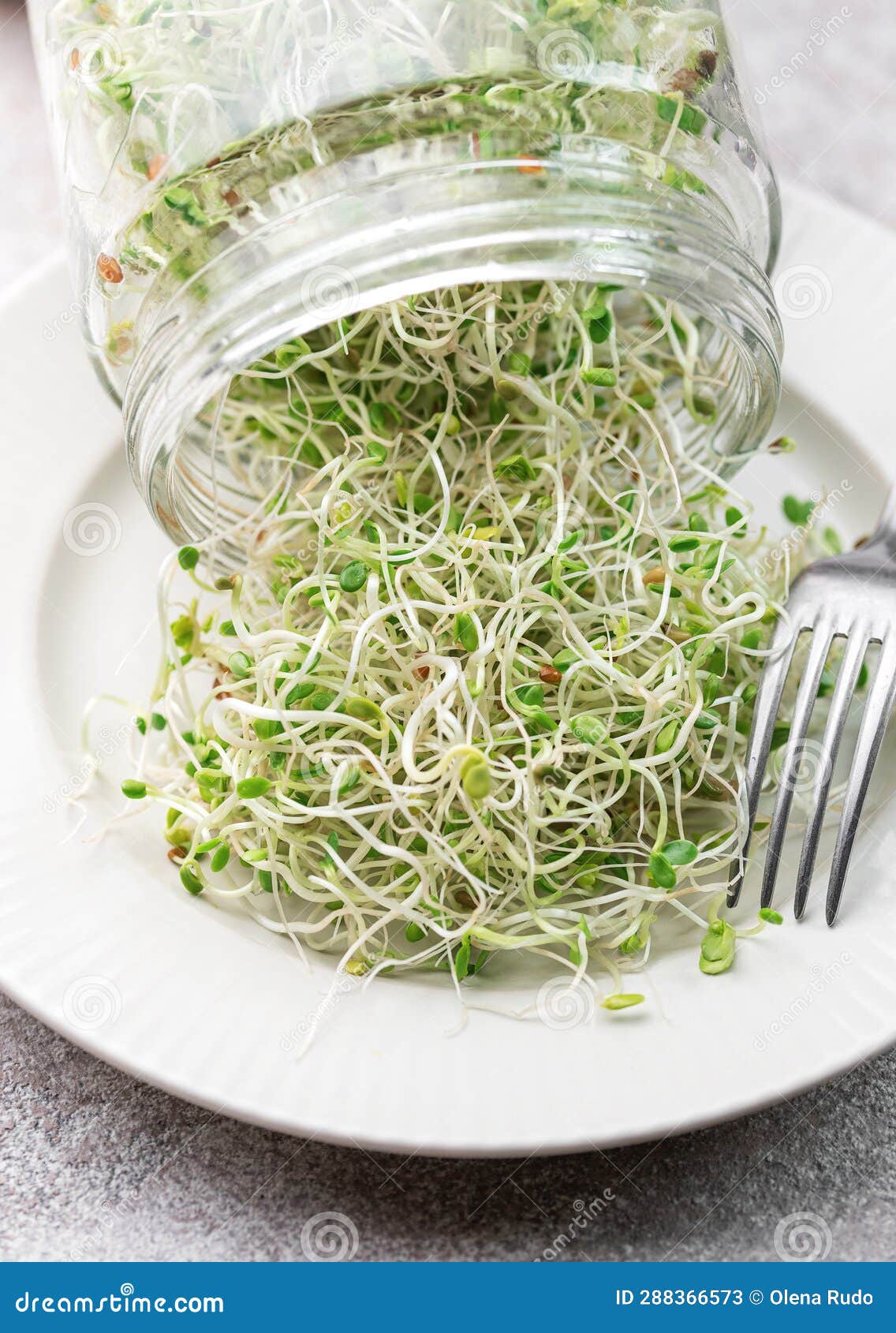 Microgreens grown in a jar stock image. Image of vegetable - 288366573