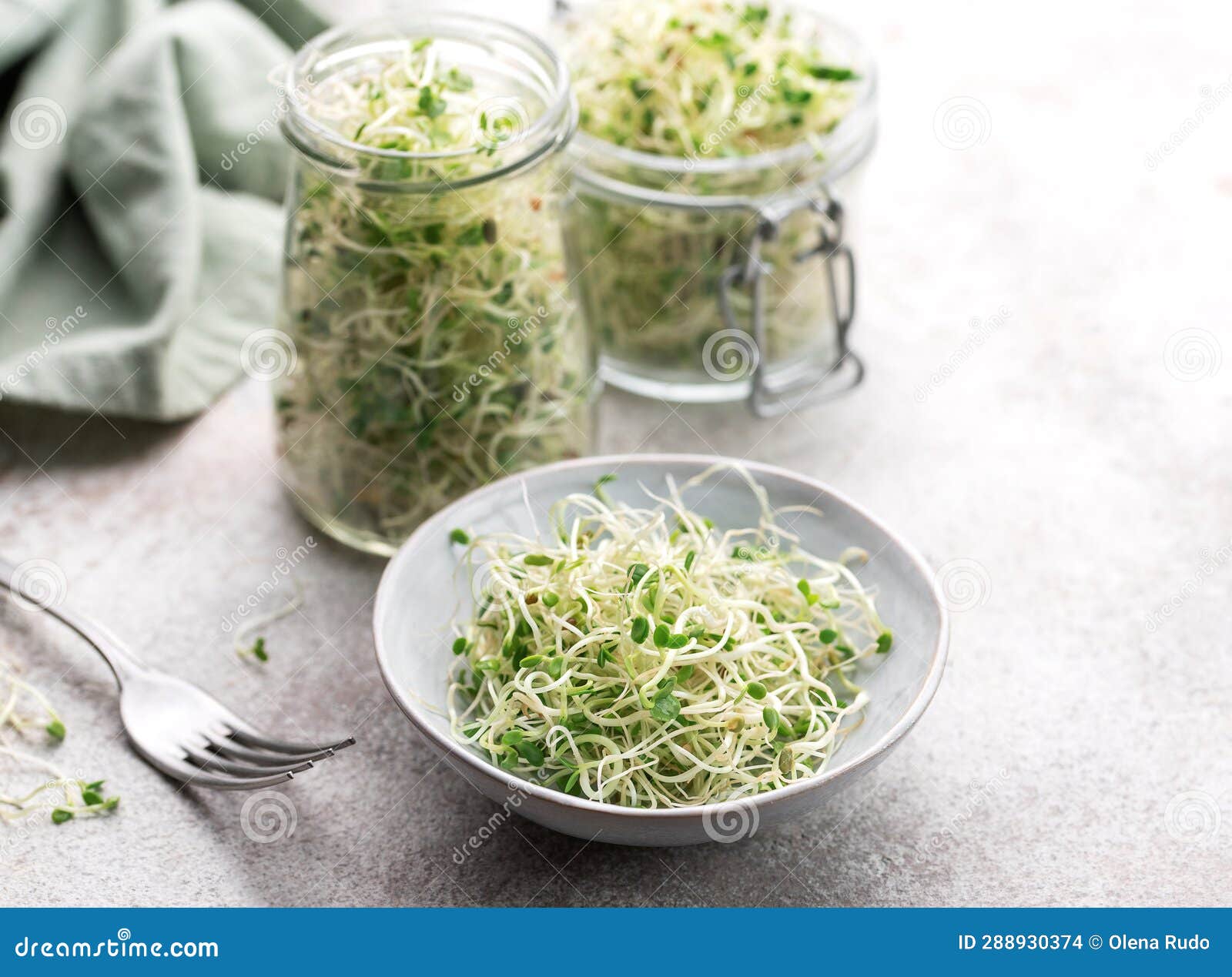 Microgreens grown in a jar stock photo. Image of plant - 288930374