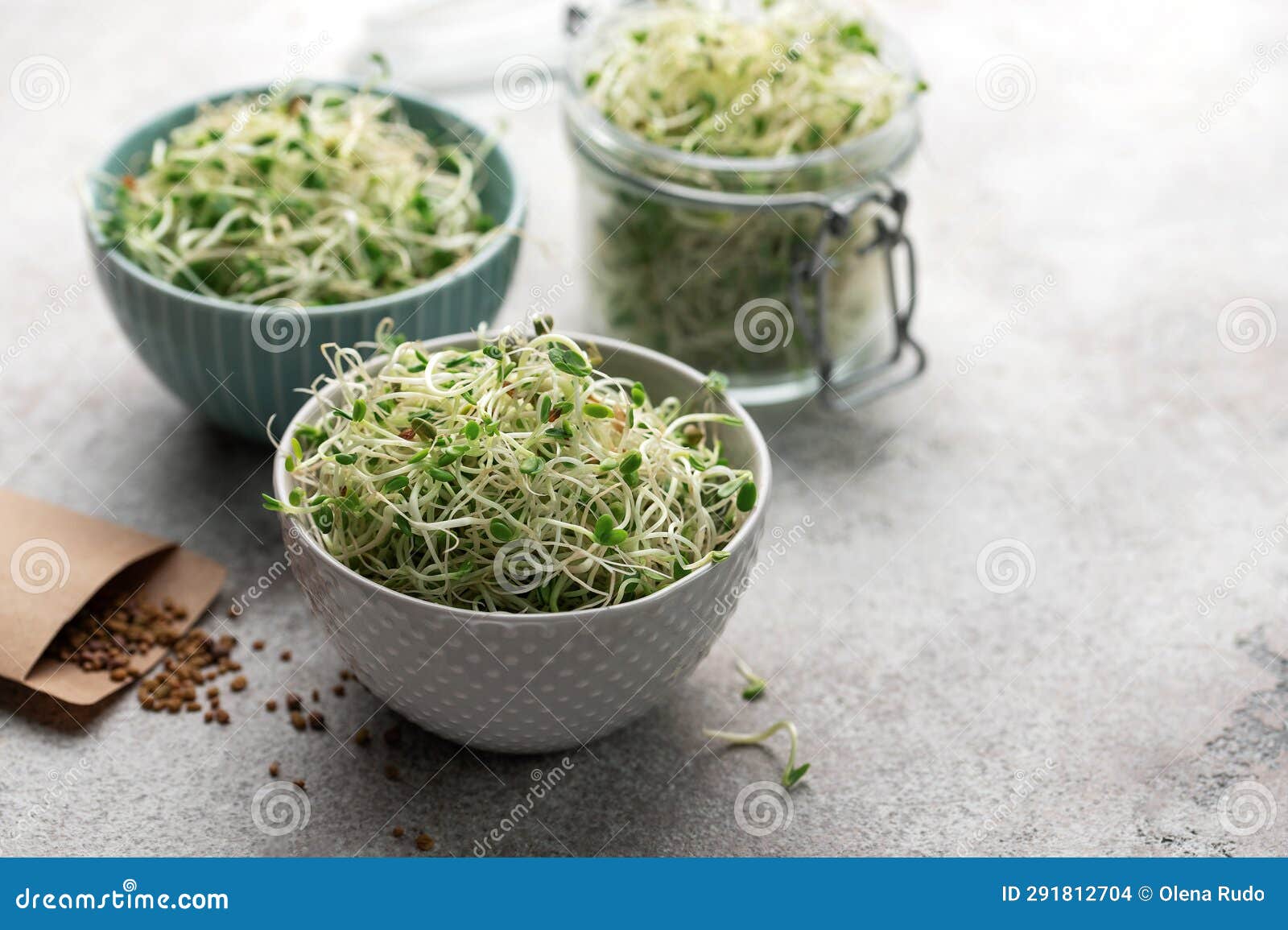 Microgreens grown in a jar stock photo. Image of glass - 291812704