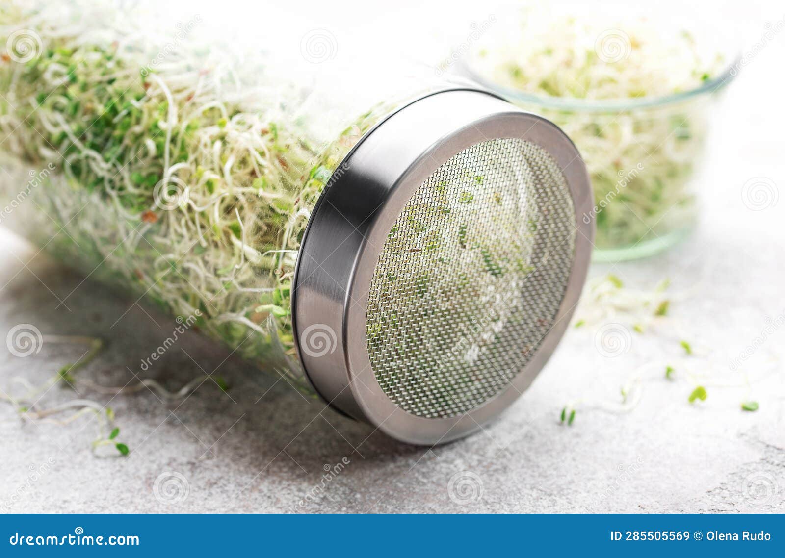 Microgreens grown in a jar stock image. Image of nature - 285505569