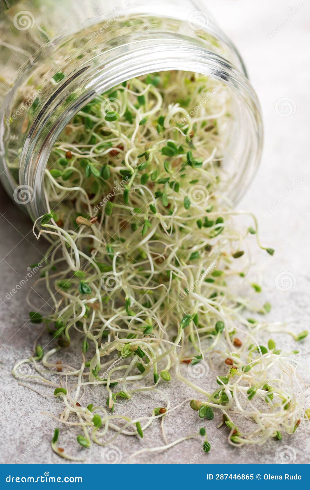 Microgreens grown in a jar stock image. Image of vegetable - 287446865