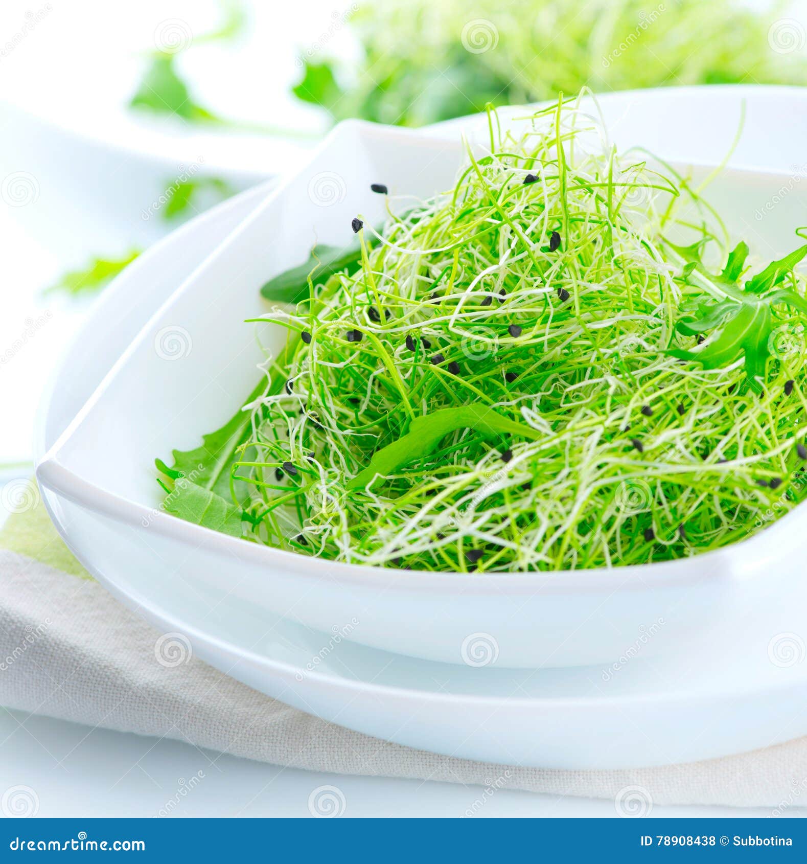 Microgreens. Healthy salad stock photo. Image of meal - 78908438